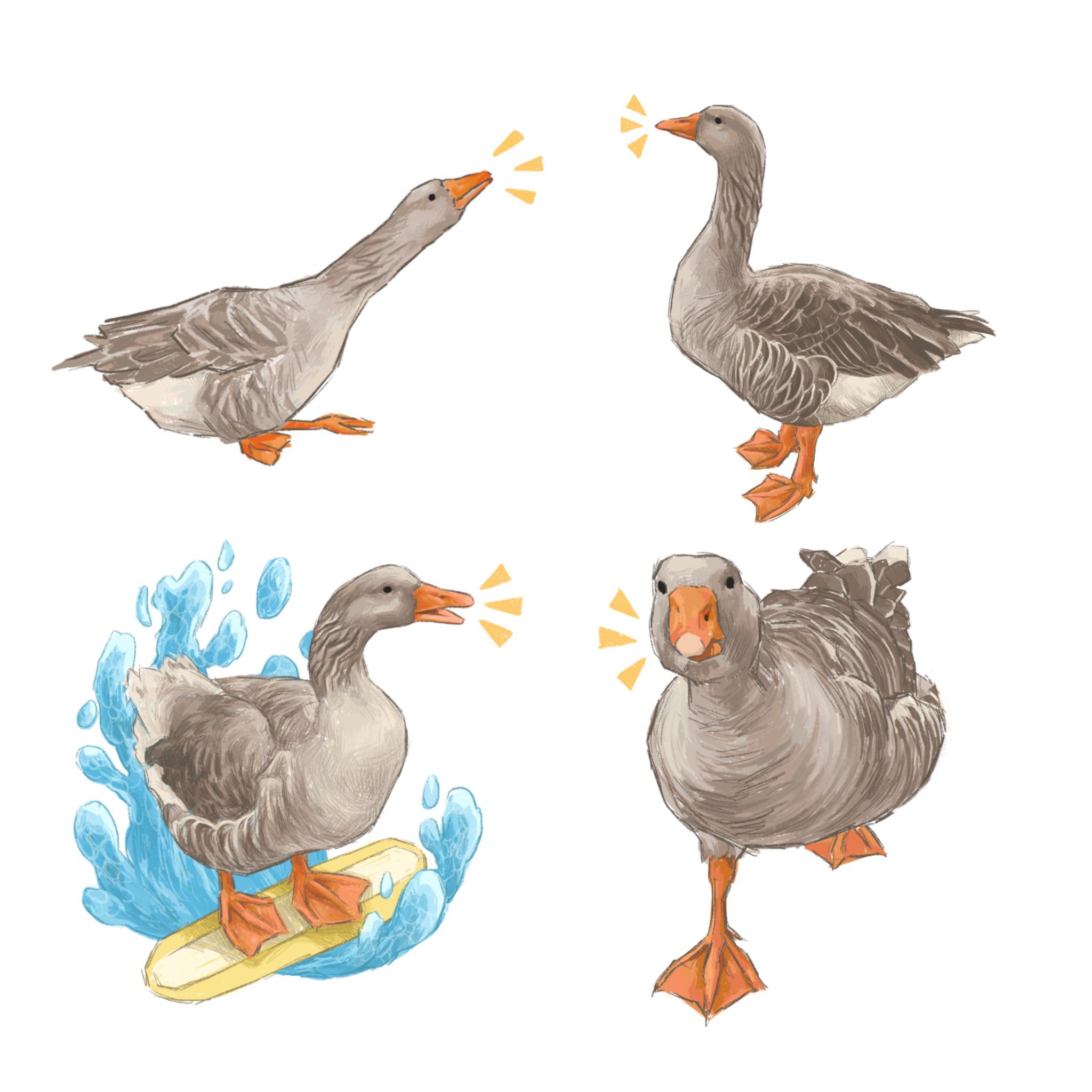I drew some geese | Scrolller