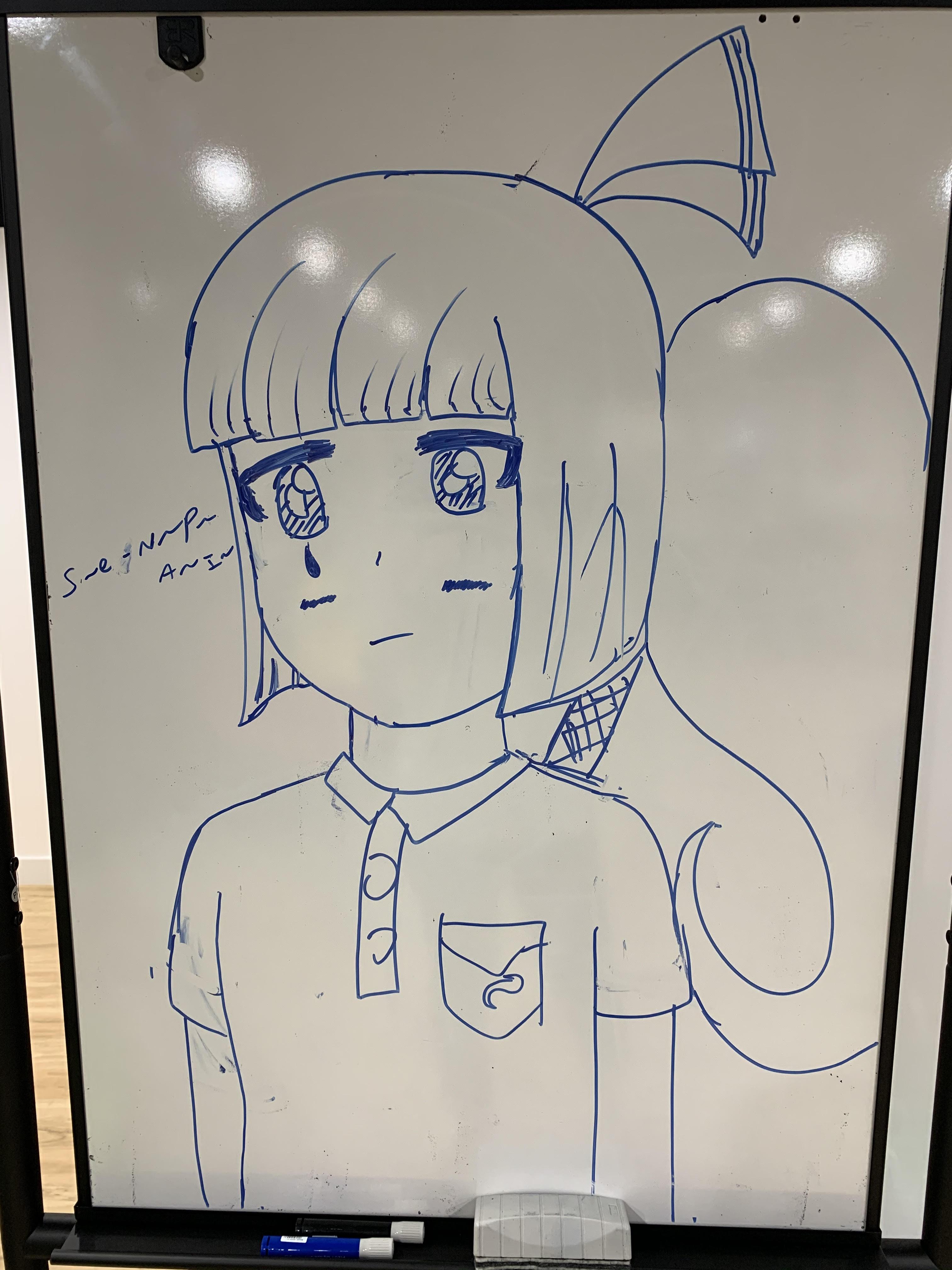 I drew Youmu on a whiteboard | Scrolller