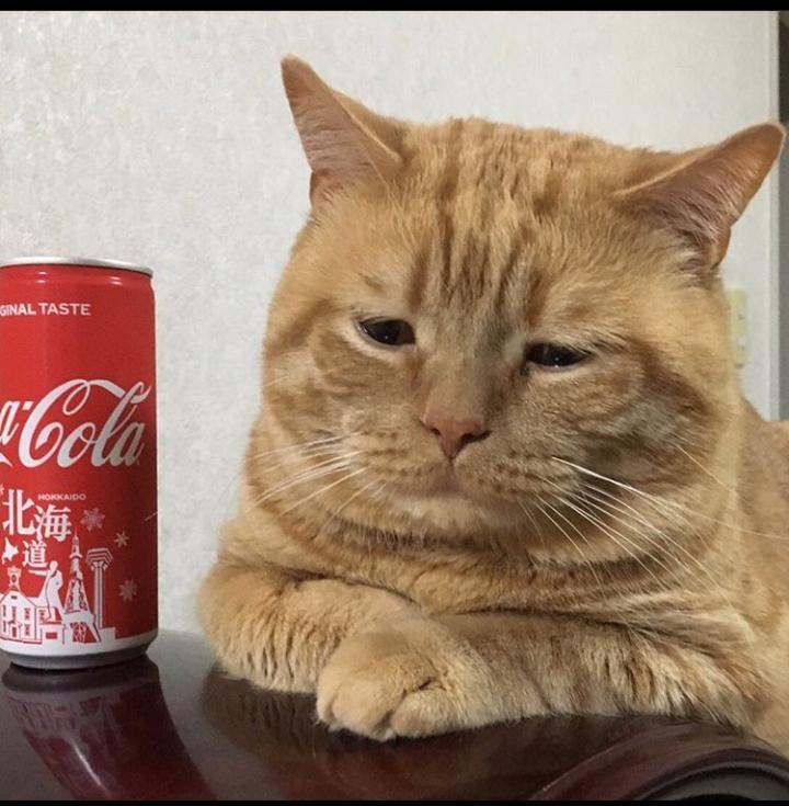 I failed | Scrolller