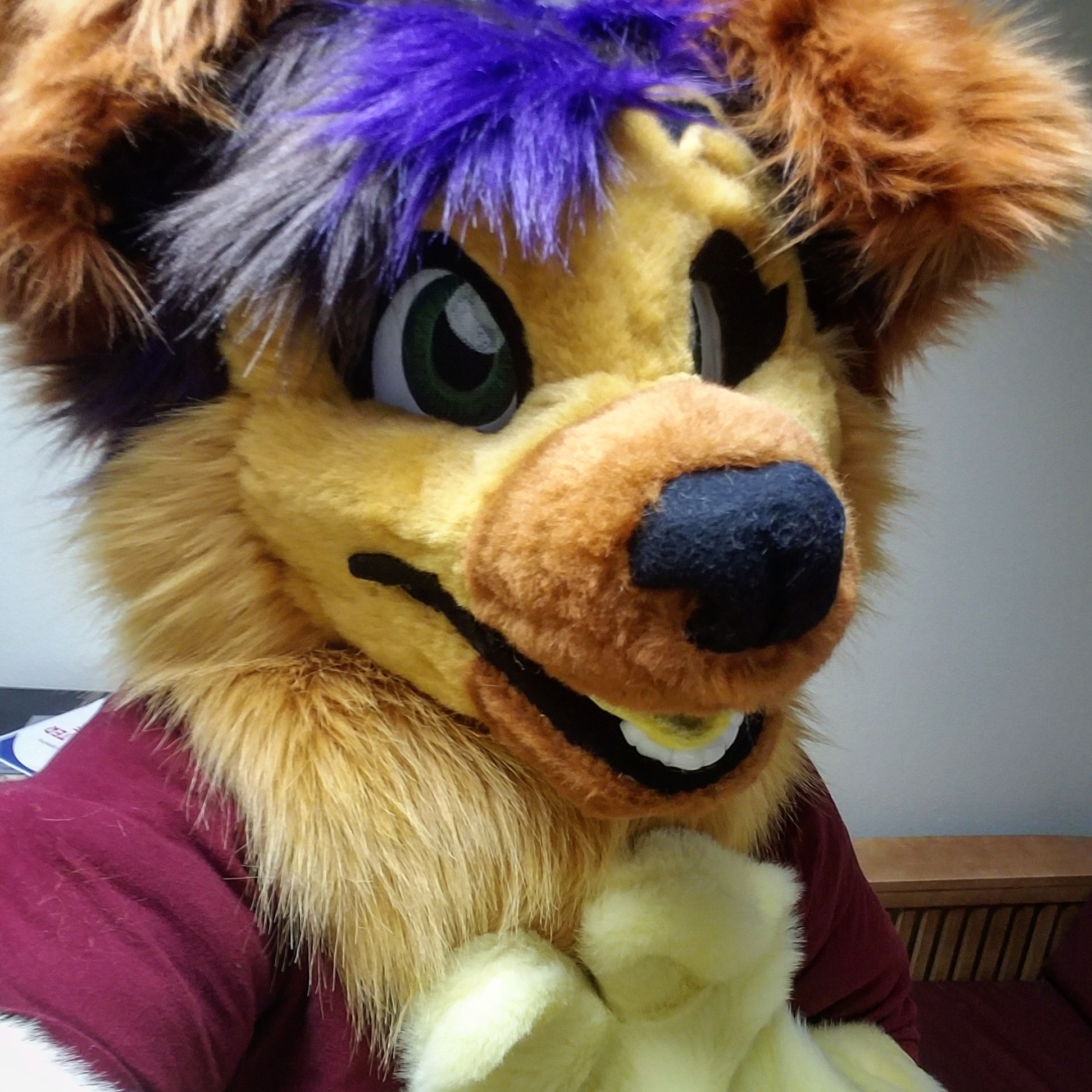 I finally got my sona a fursuit! | Scrolller