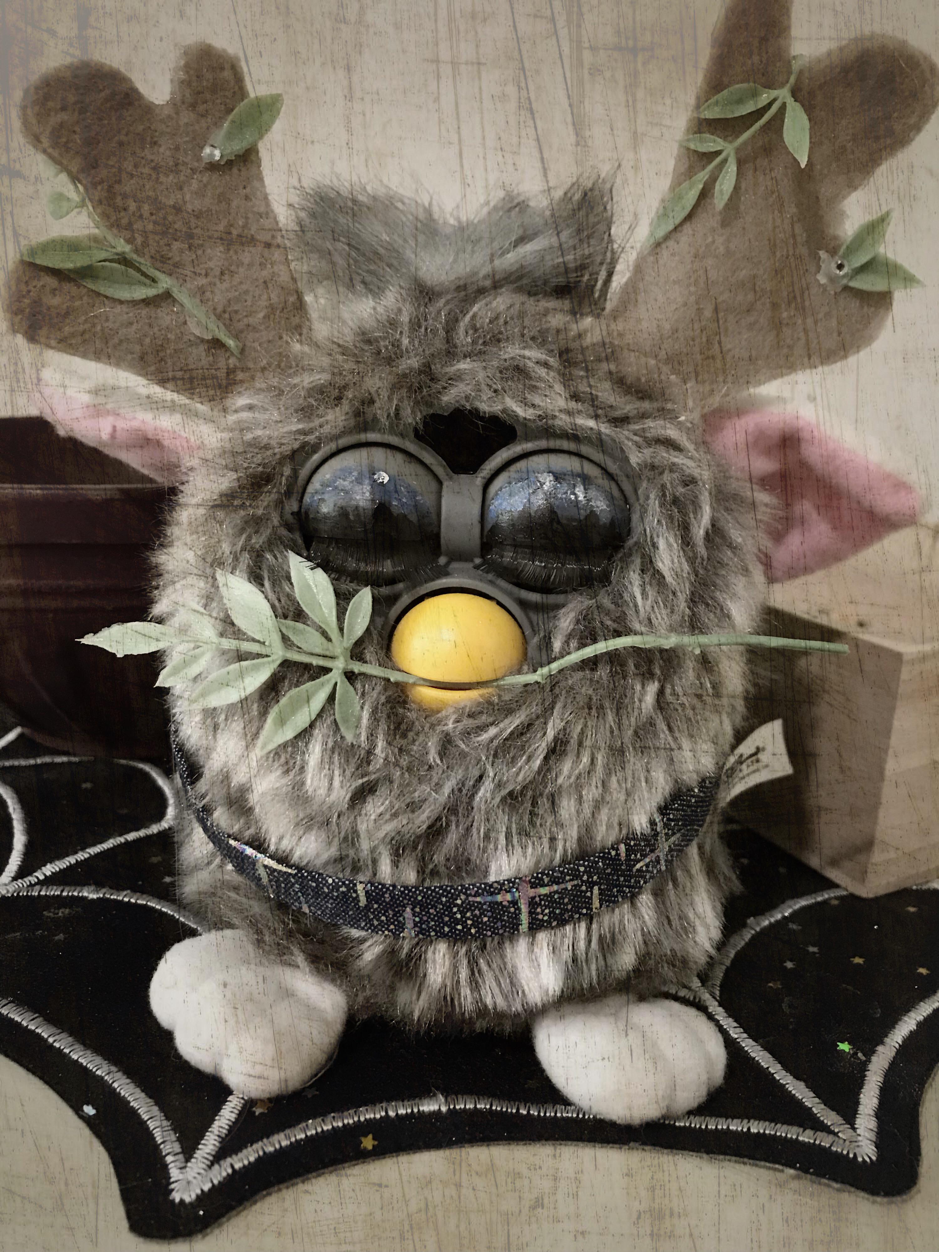 I finished my lovely child. | Scrolller