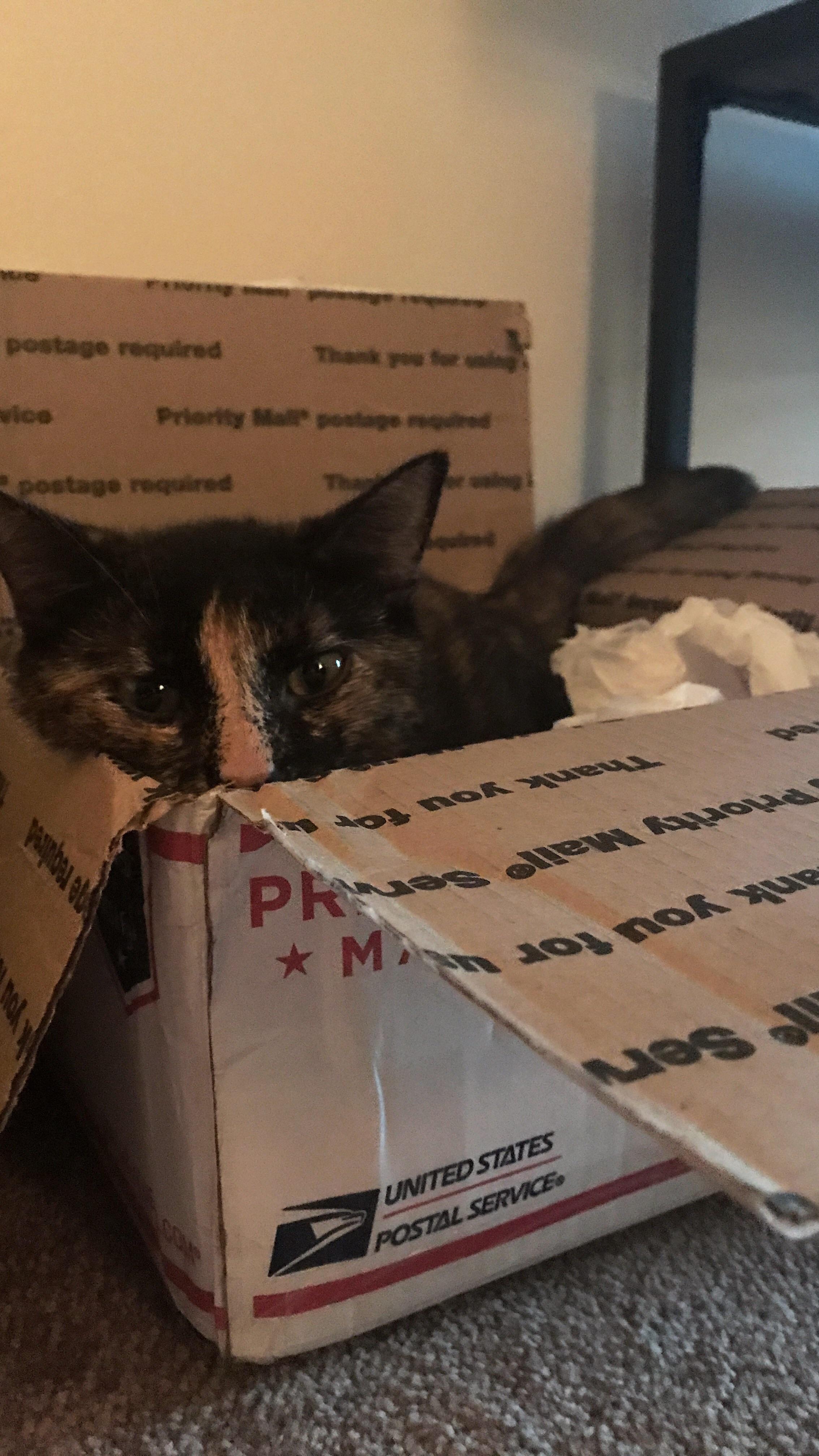 I got a special delivery today! | Scrolller