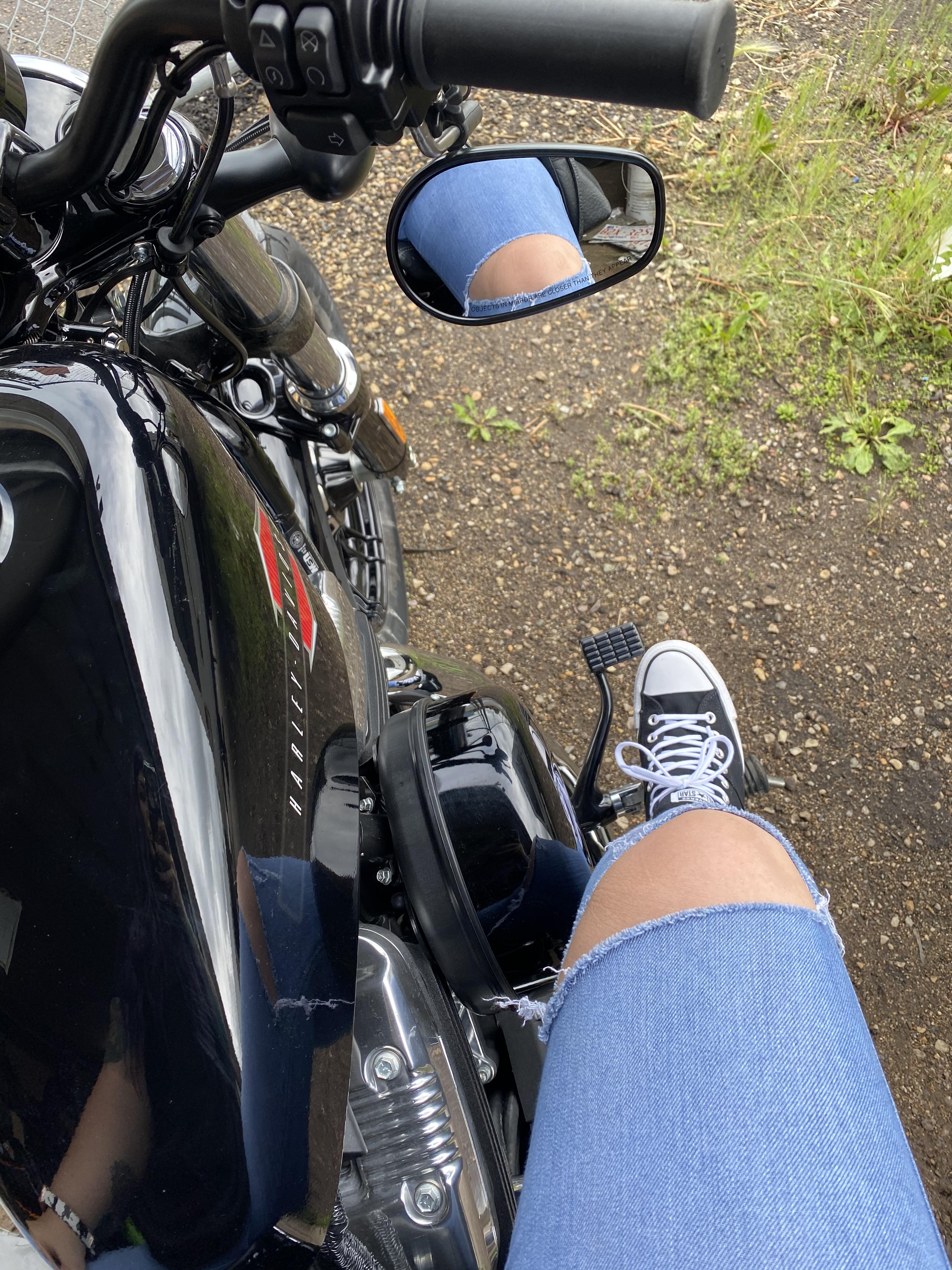 I got my first Harley! (Forty-Eight) | Scrolller