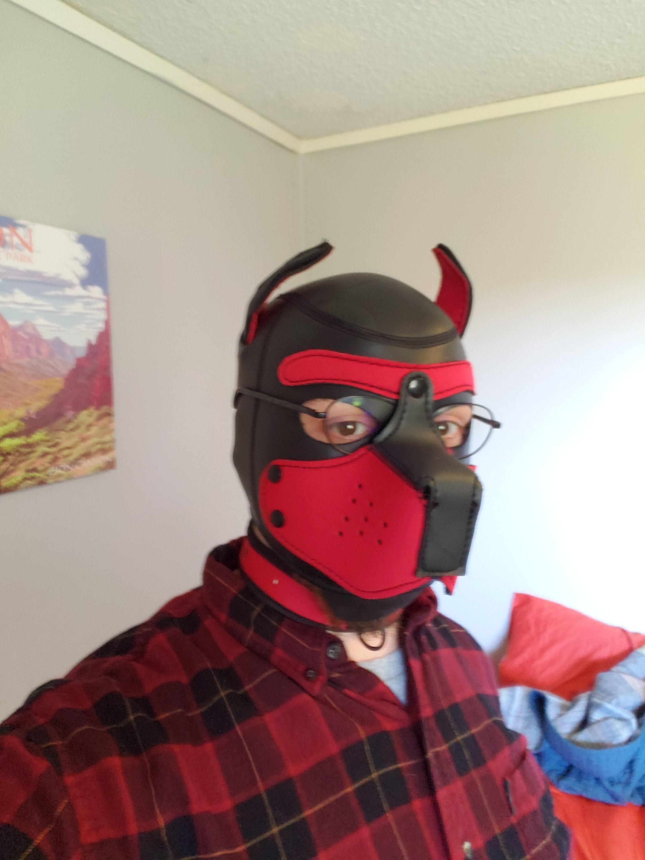 I got my first hood today | Scrolller