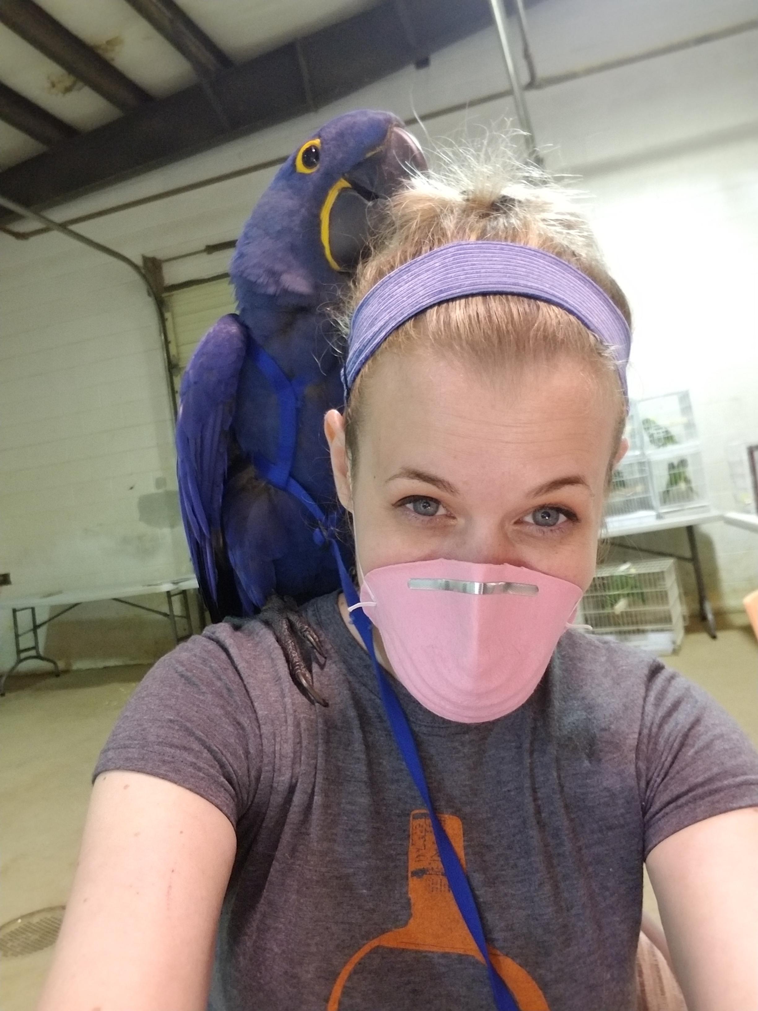 I got the pleasure of grooming this big fella. | Scrolller