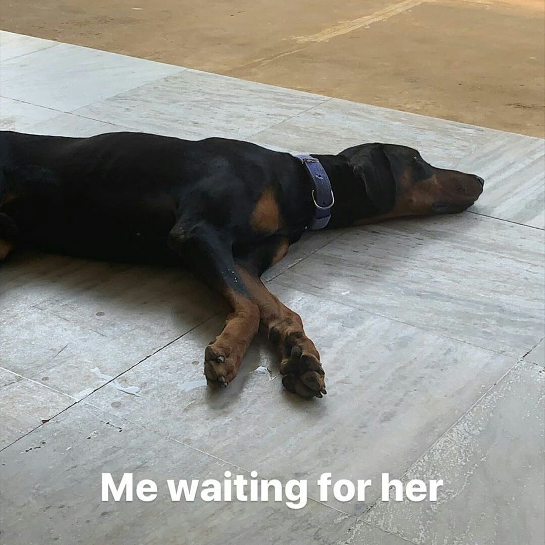 I guess we gotta wait. | Scrolller