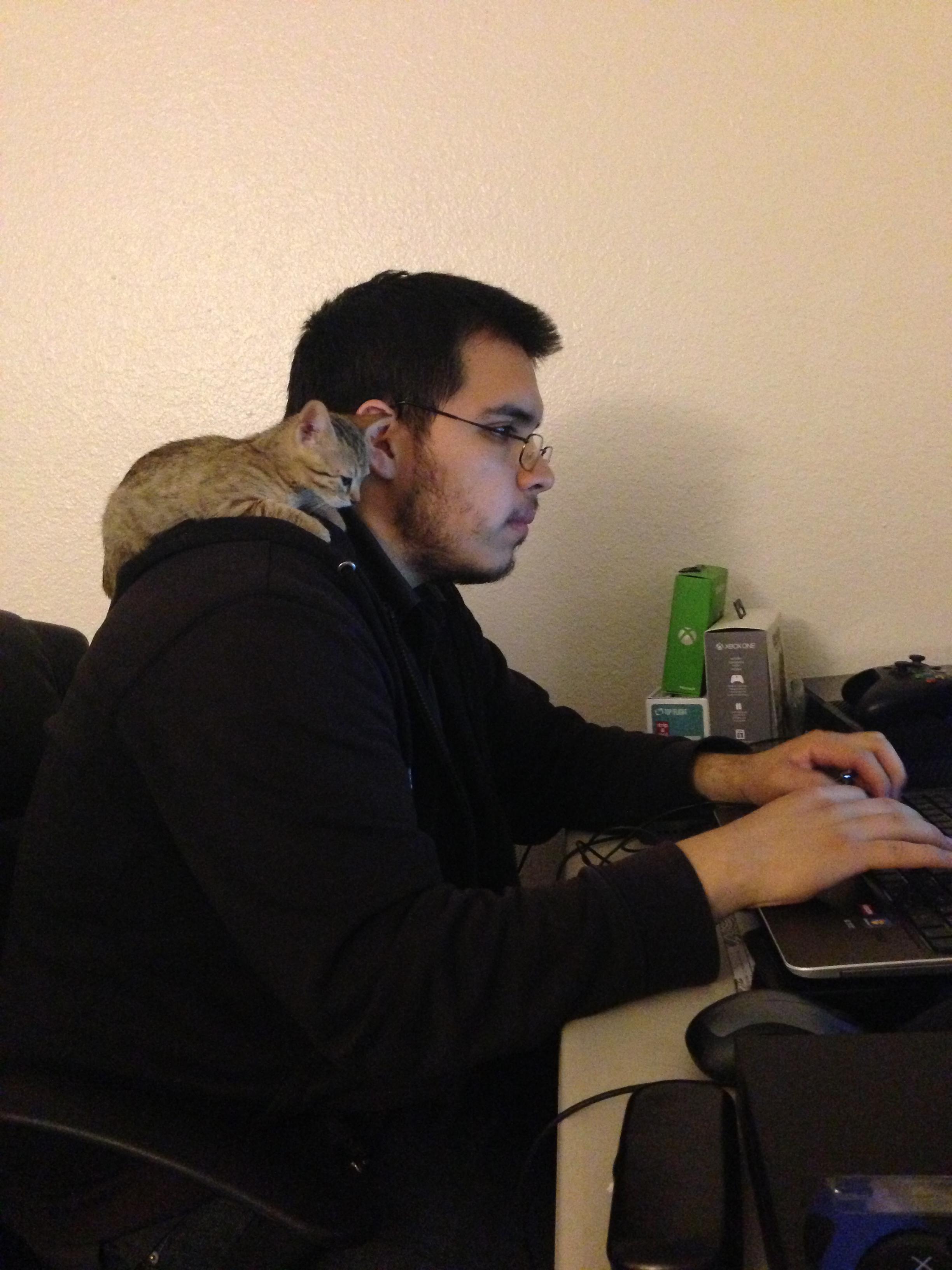 "I hAtE cAts" Now they're inseparable | Scrolller