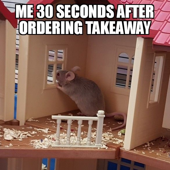 I hate the wait | Scrolller