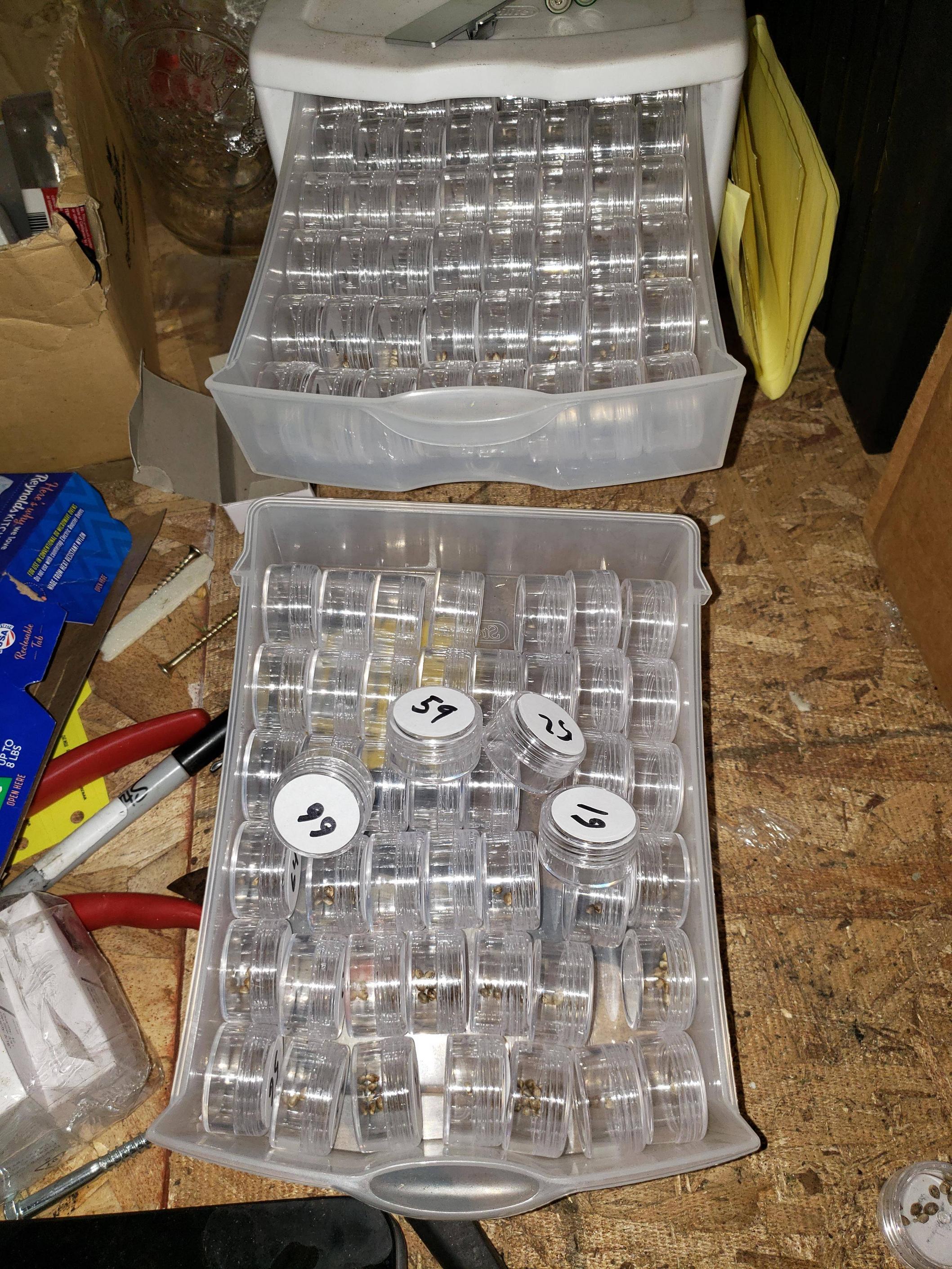 I have a seed collection. | Scrolller