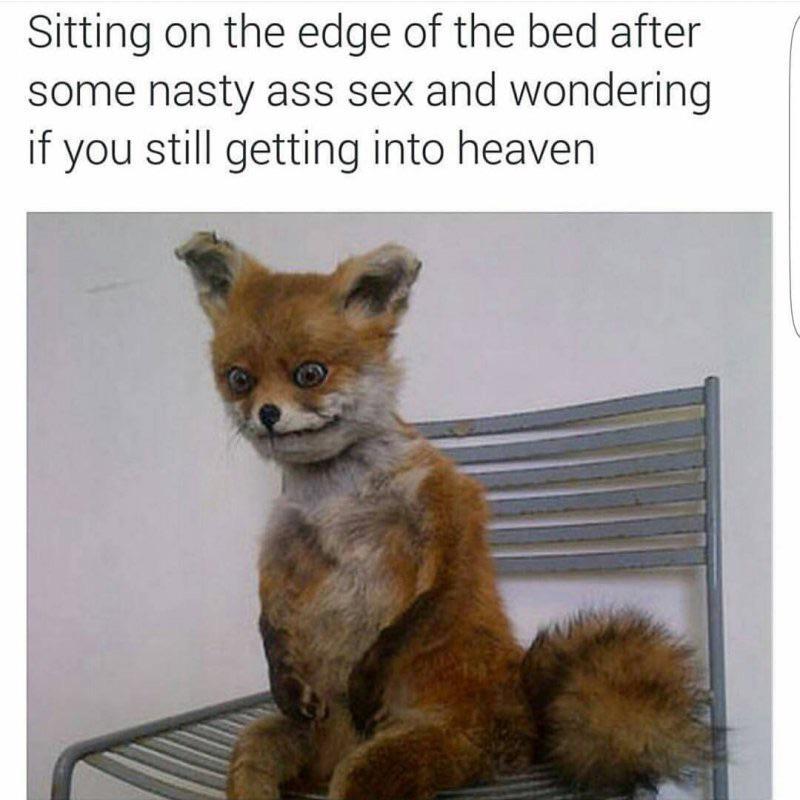 I have sinned | Scrolller