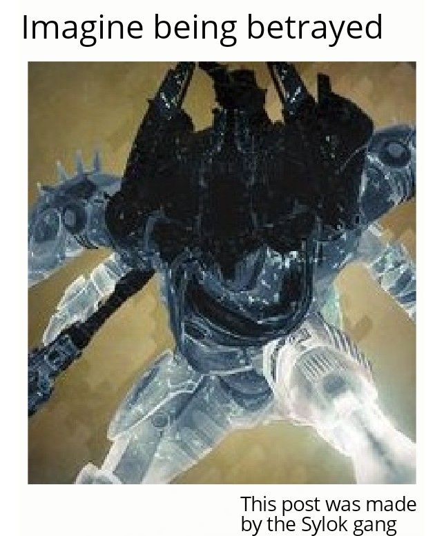 I have started a gang war | Scrolller