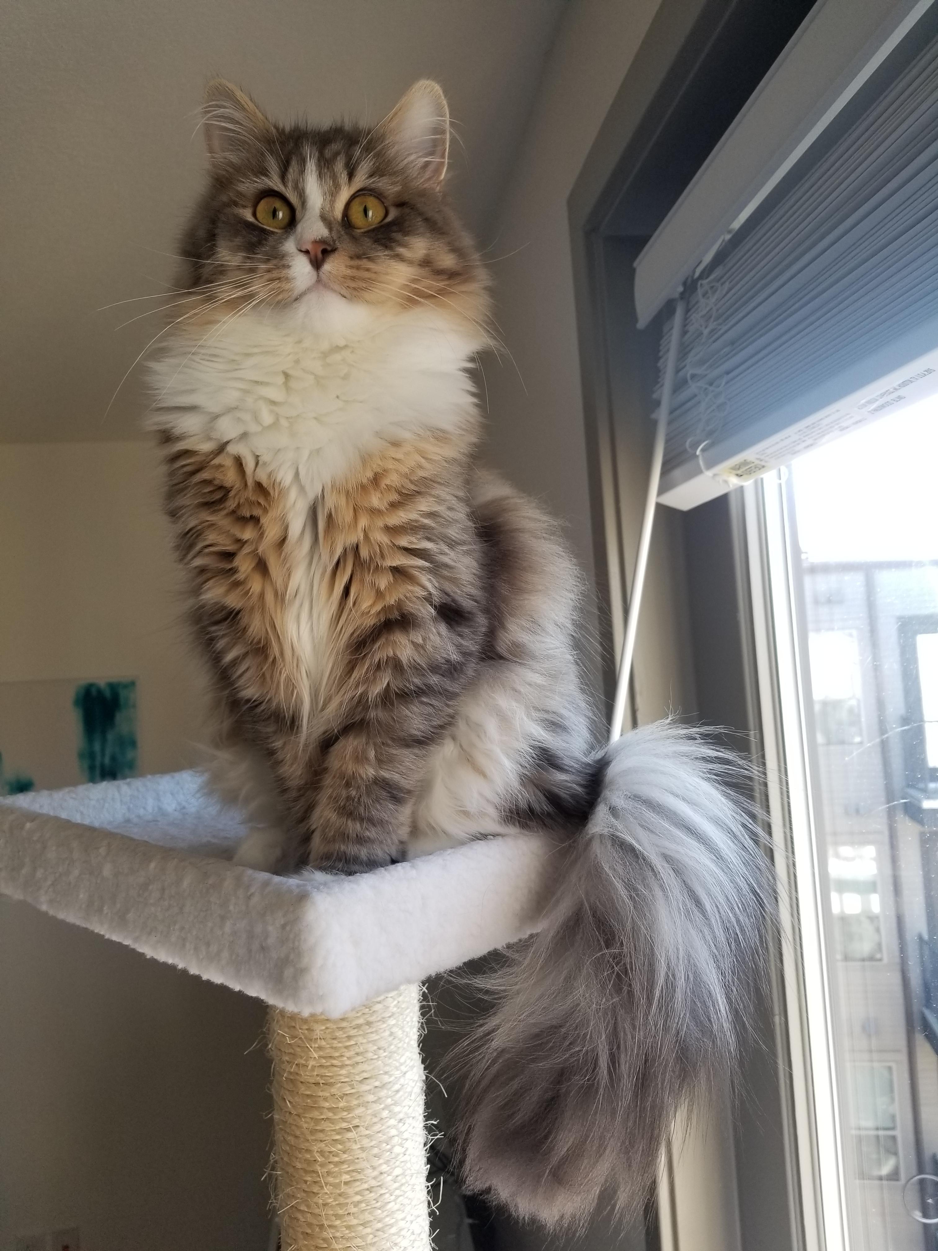 I honestly don't know what he was staring at | Scrolller