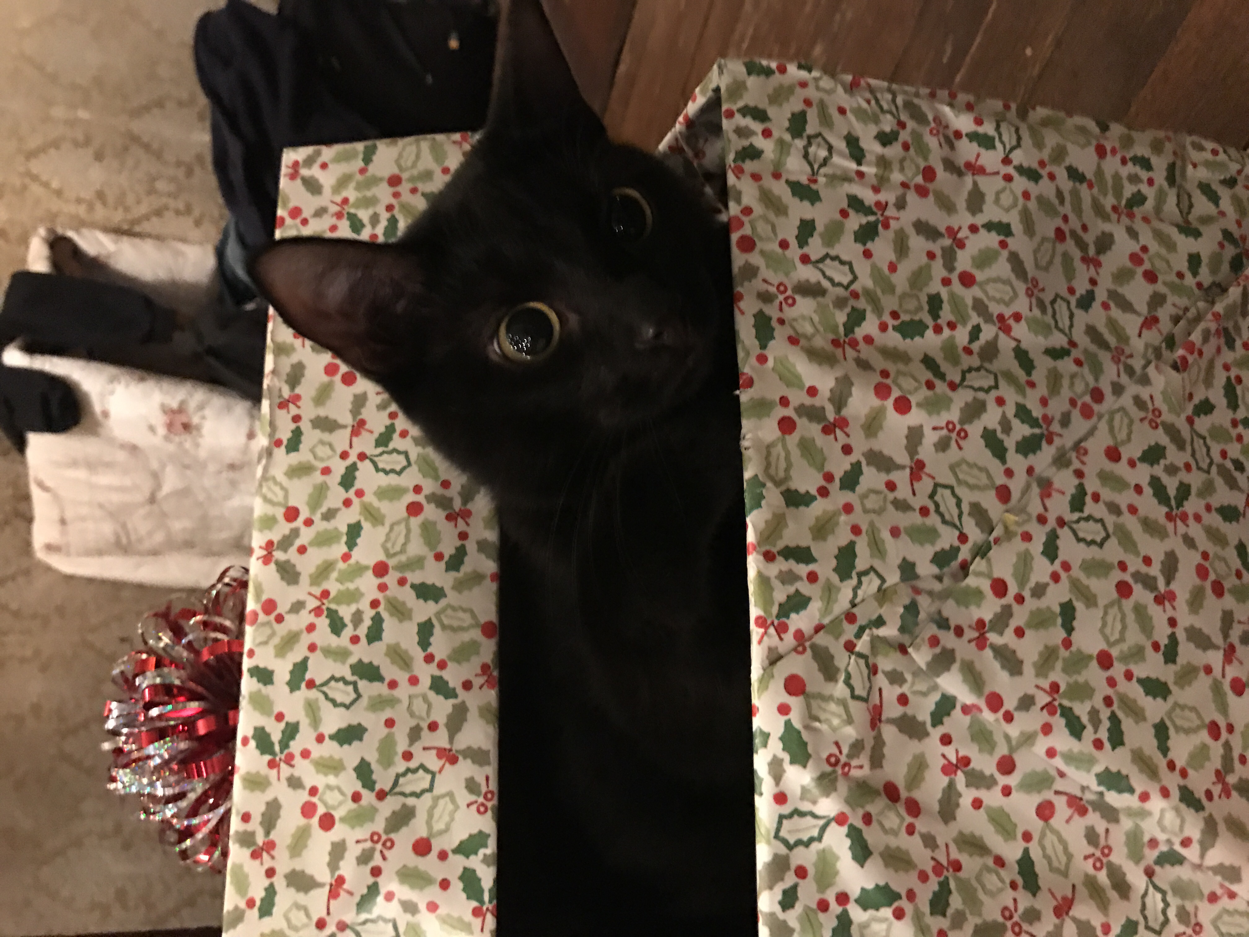 I is the present | Scrolller