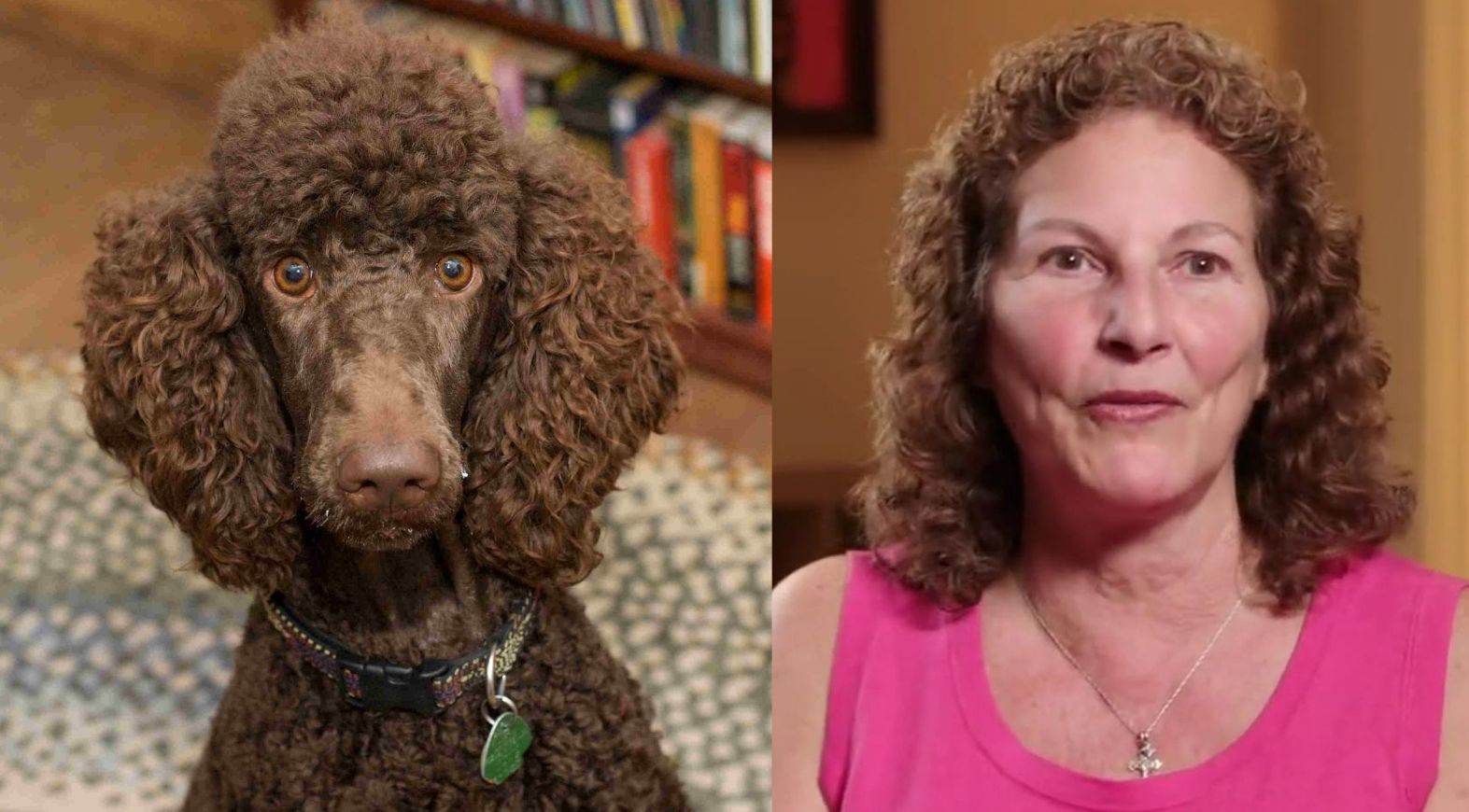 I like Brandon's mom, but that 80's perm gots to go | Scrolller