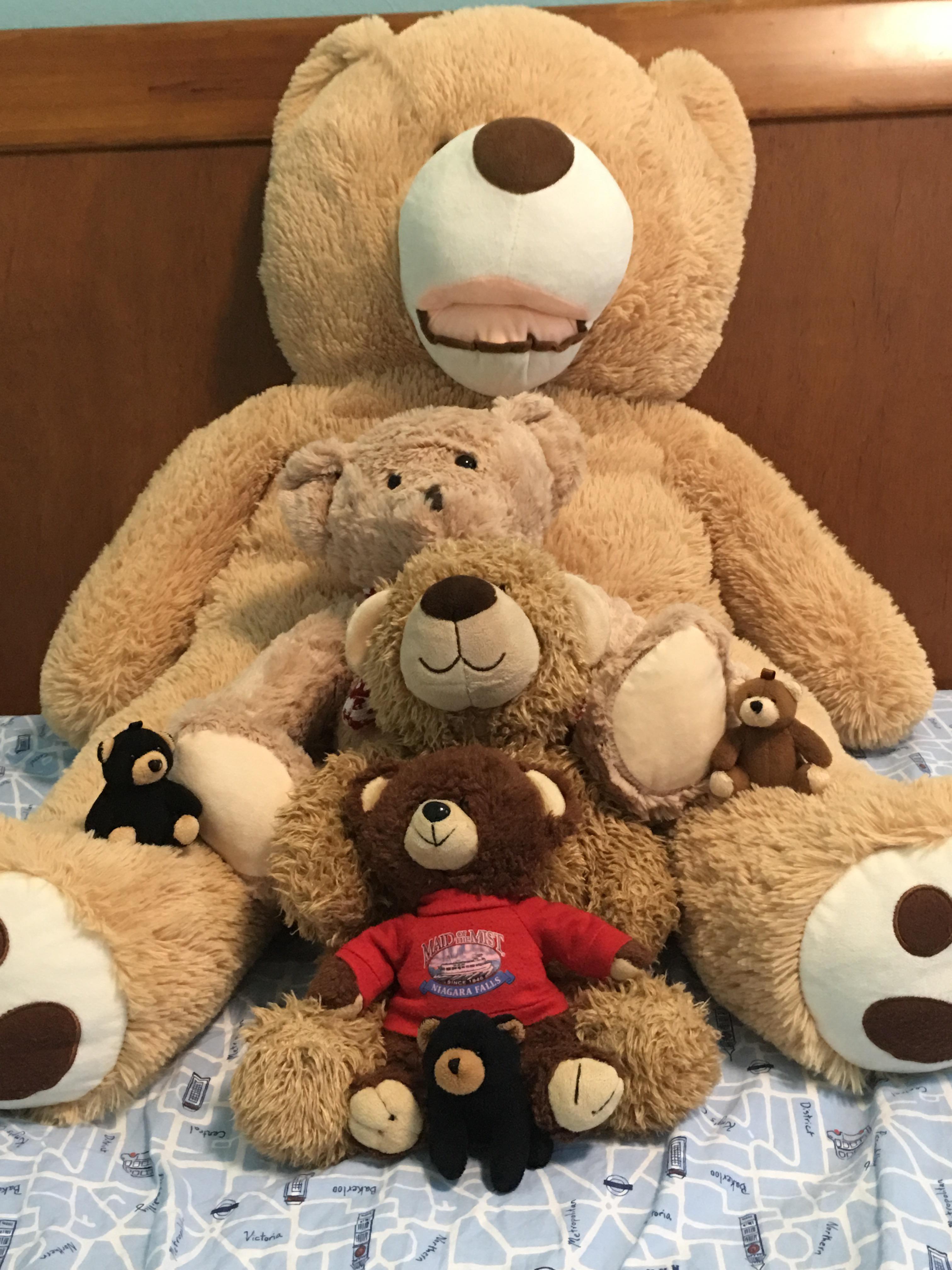 I like teddy bears | Scrolller