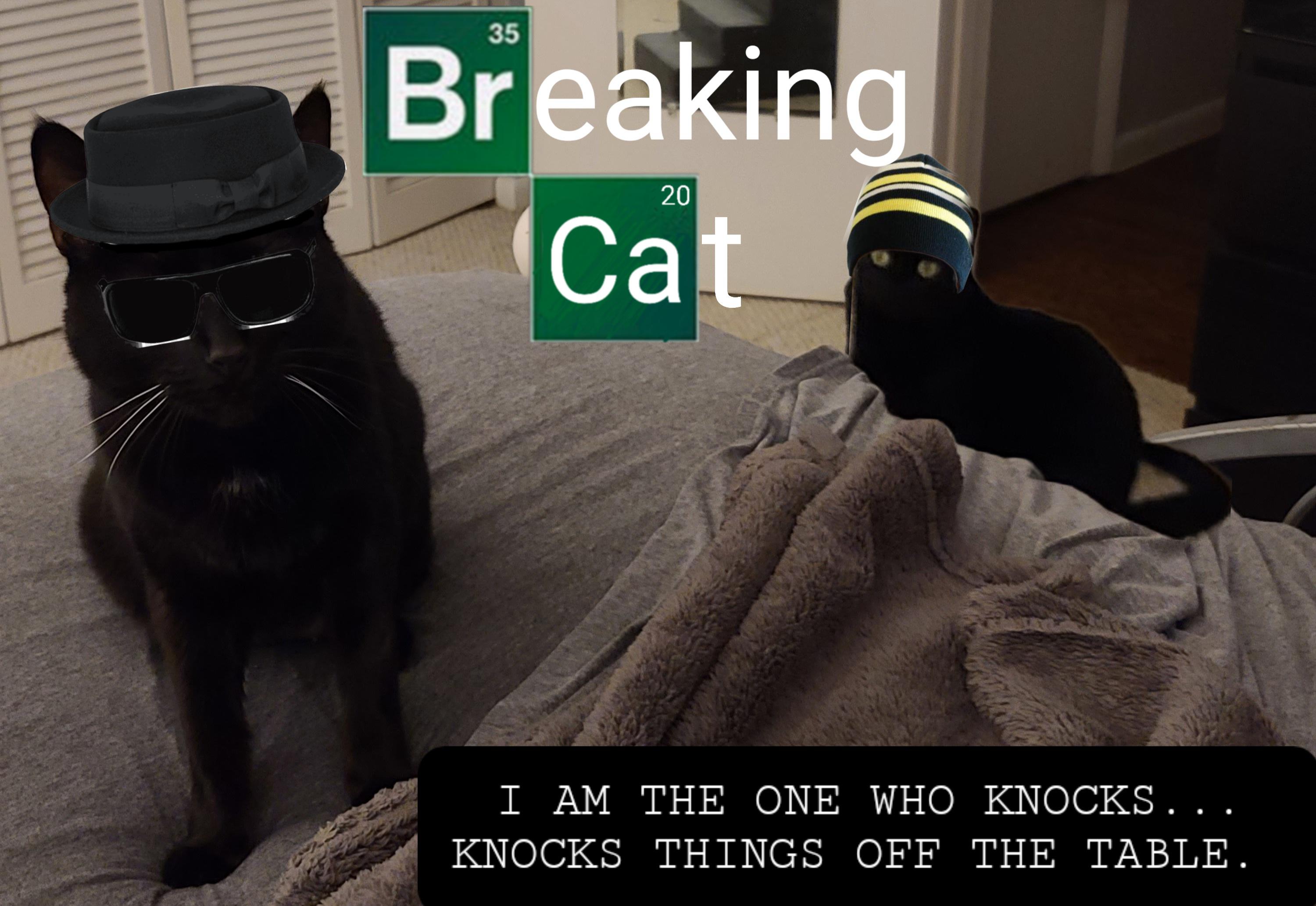 I Like To Photoshop My Cats Scrolller