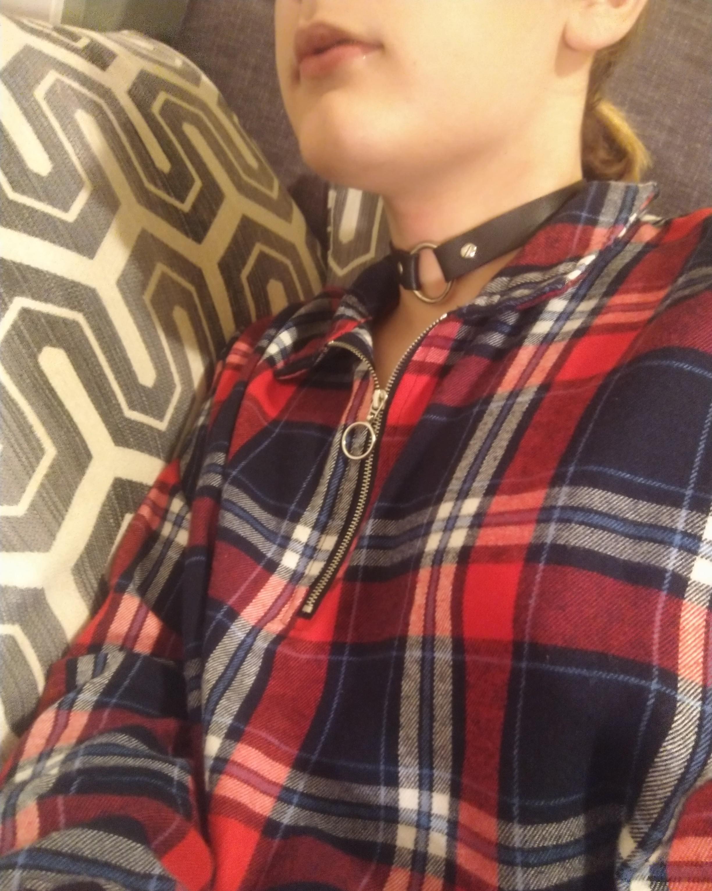 I look better with a collar, wouldn't you say? 🤭 | Scrolller