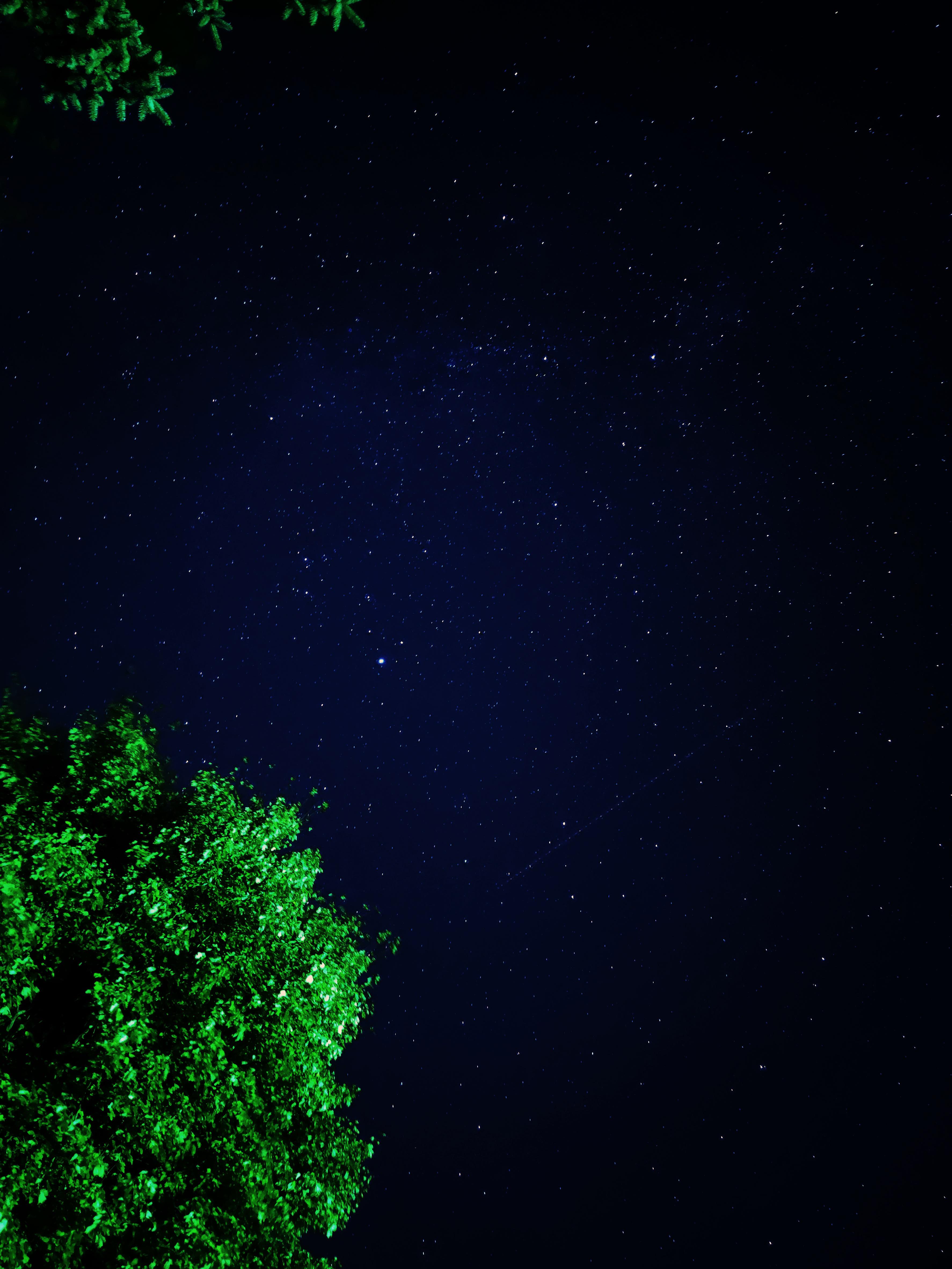 I love this camera! | Scrolller