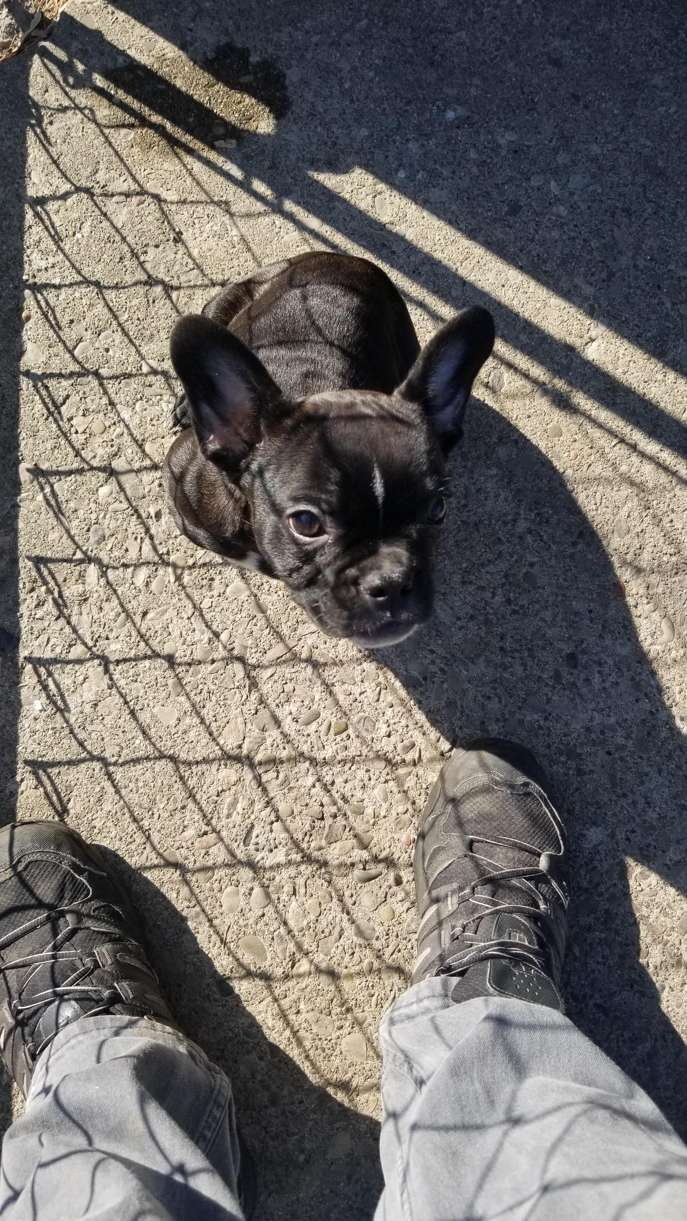 I love you Pop Pop!!!! | Scrolller