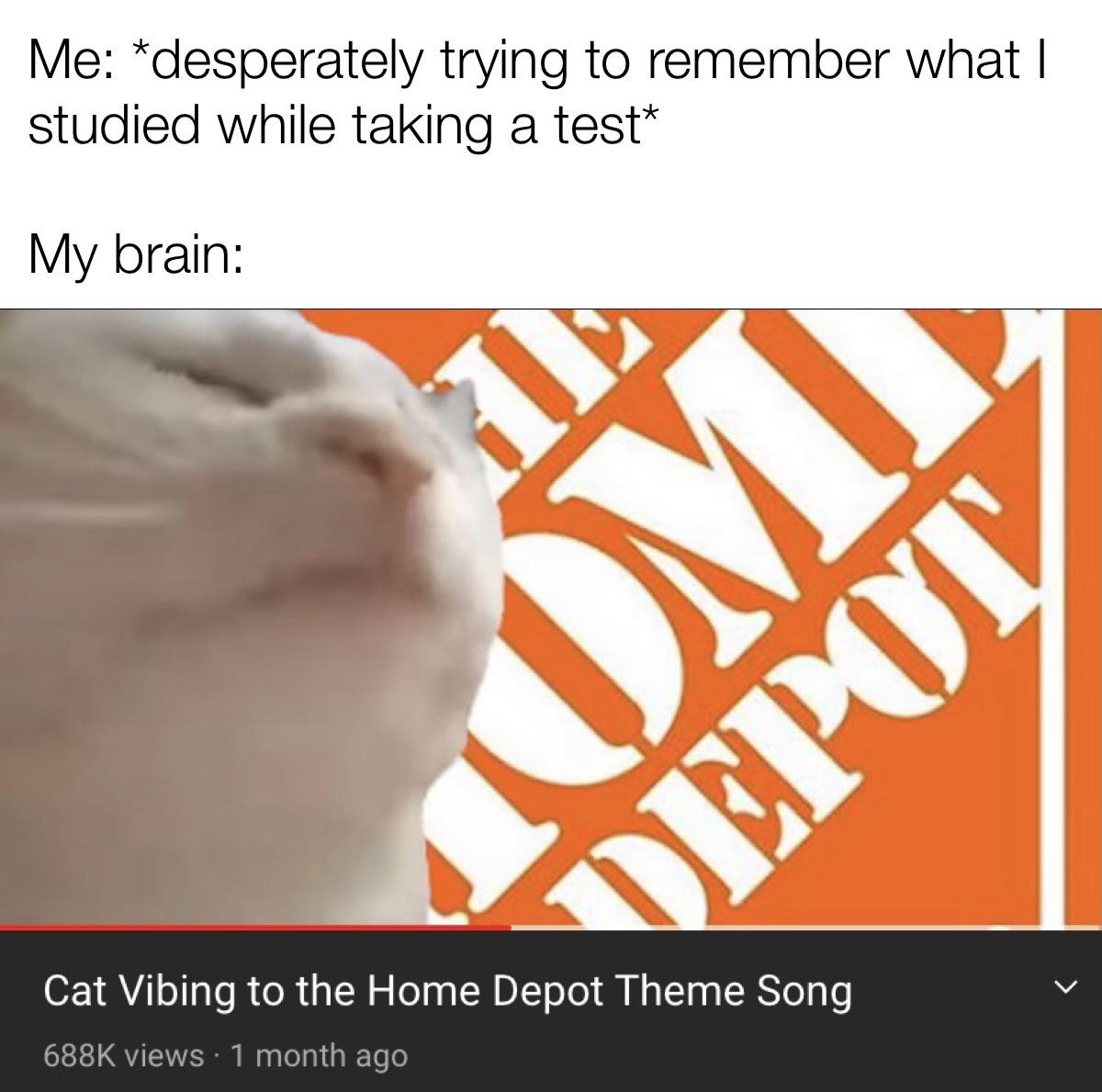 I’m literally shaking rn | Scrolller