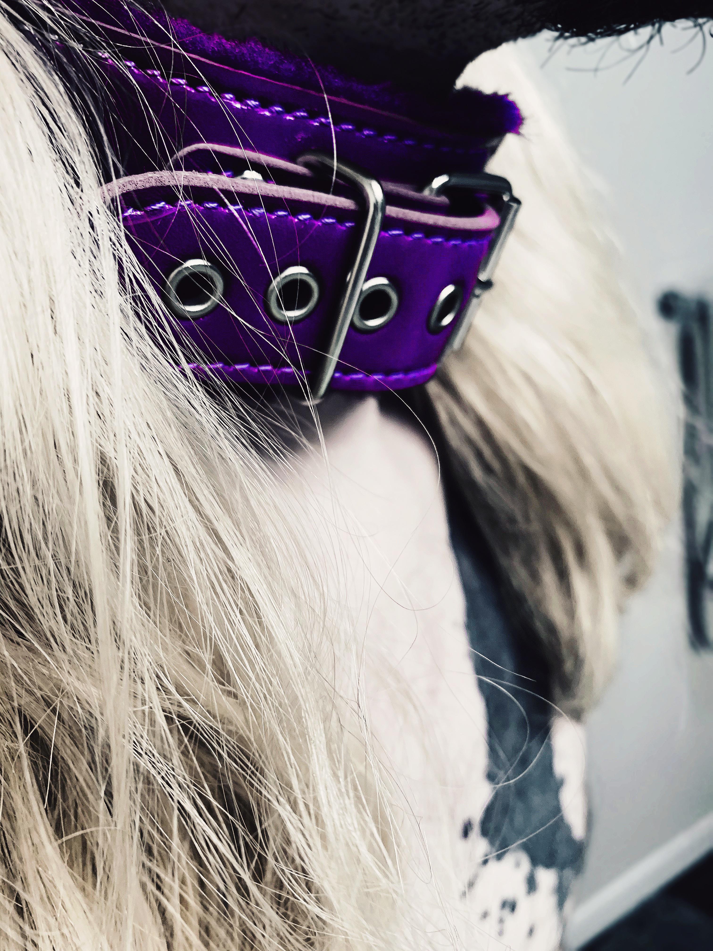 I’m your kinky neighbor. | Scrolller