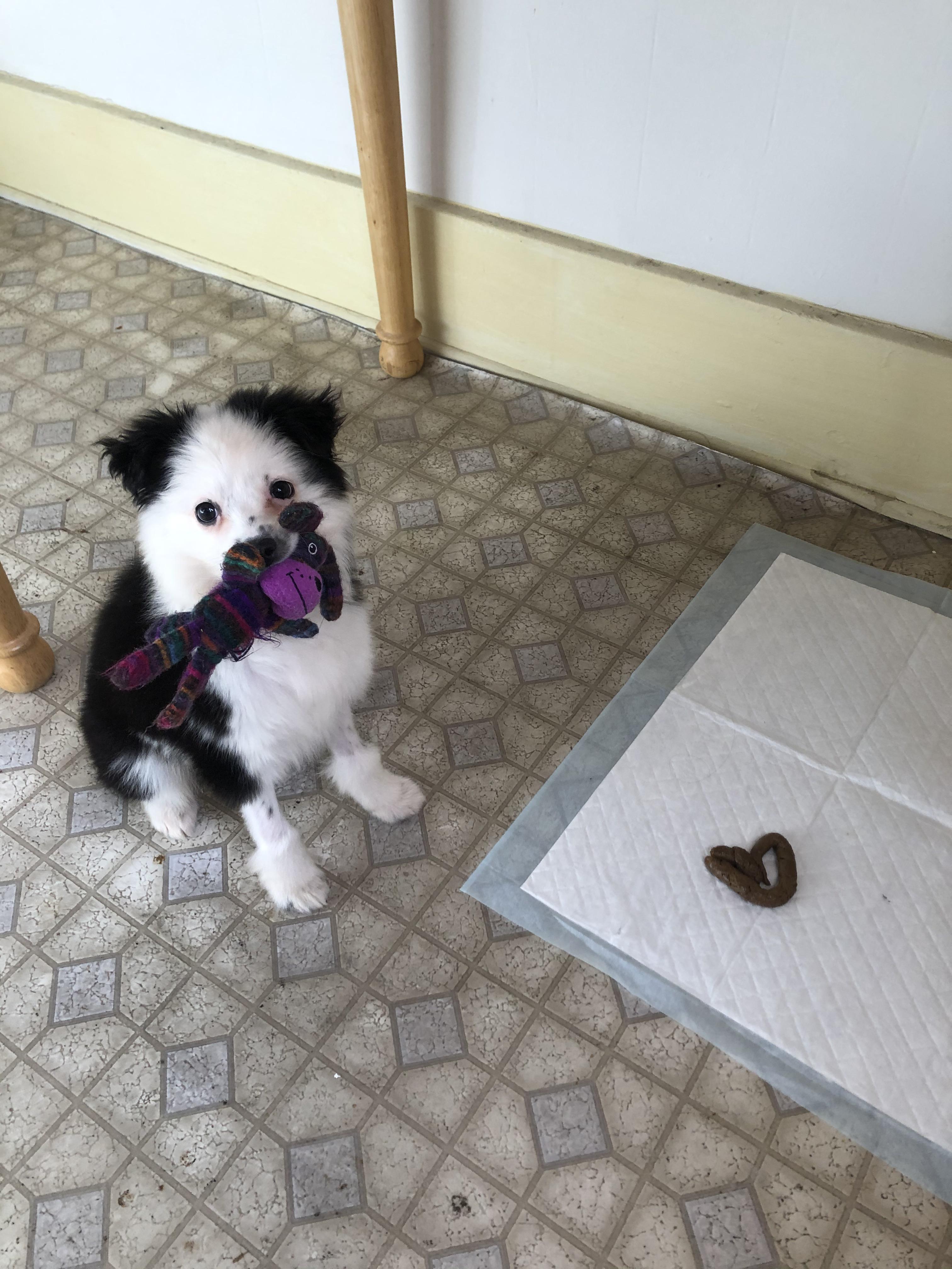 “I made dis for you!” 🤎 | Scrolller