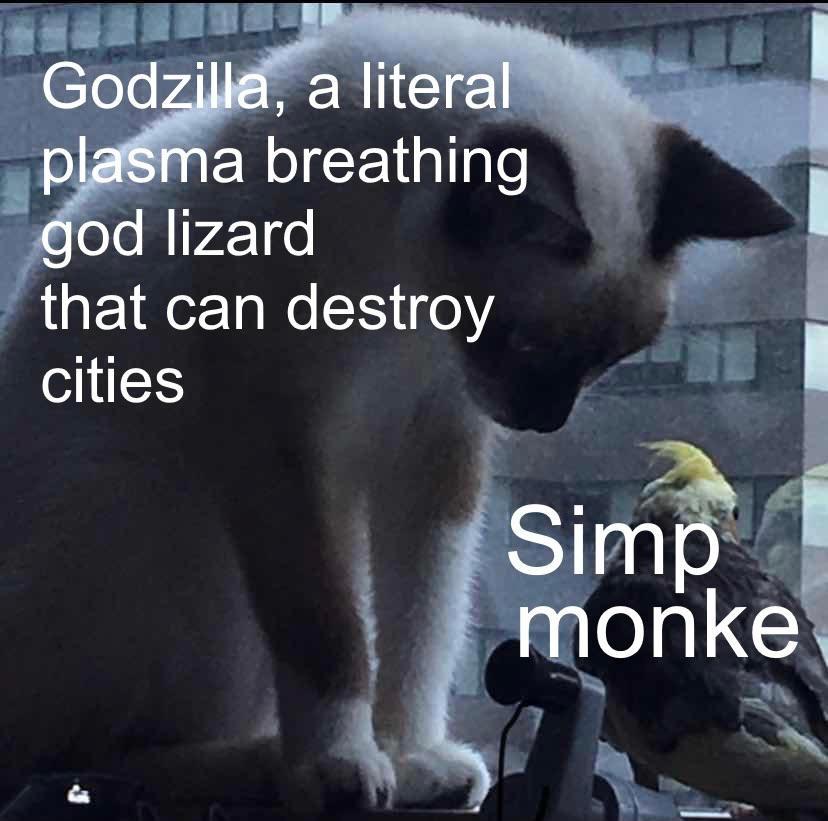 I mean, its obvious the simp monke would win lol | Scrolller