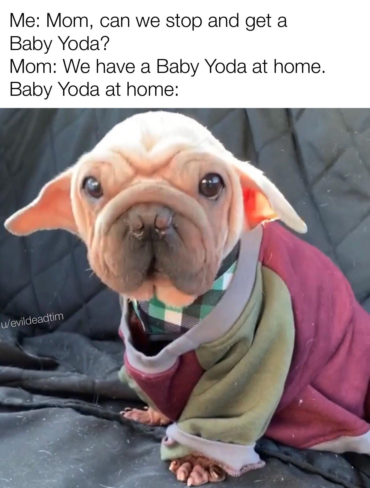 I See This as an Absolute Win | Scrolller