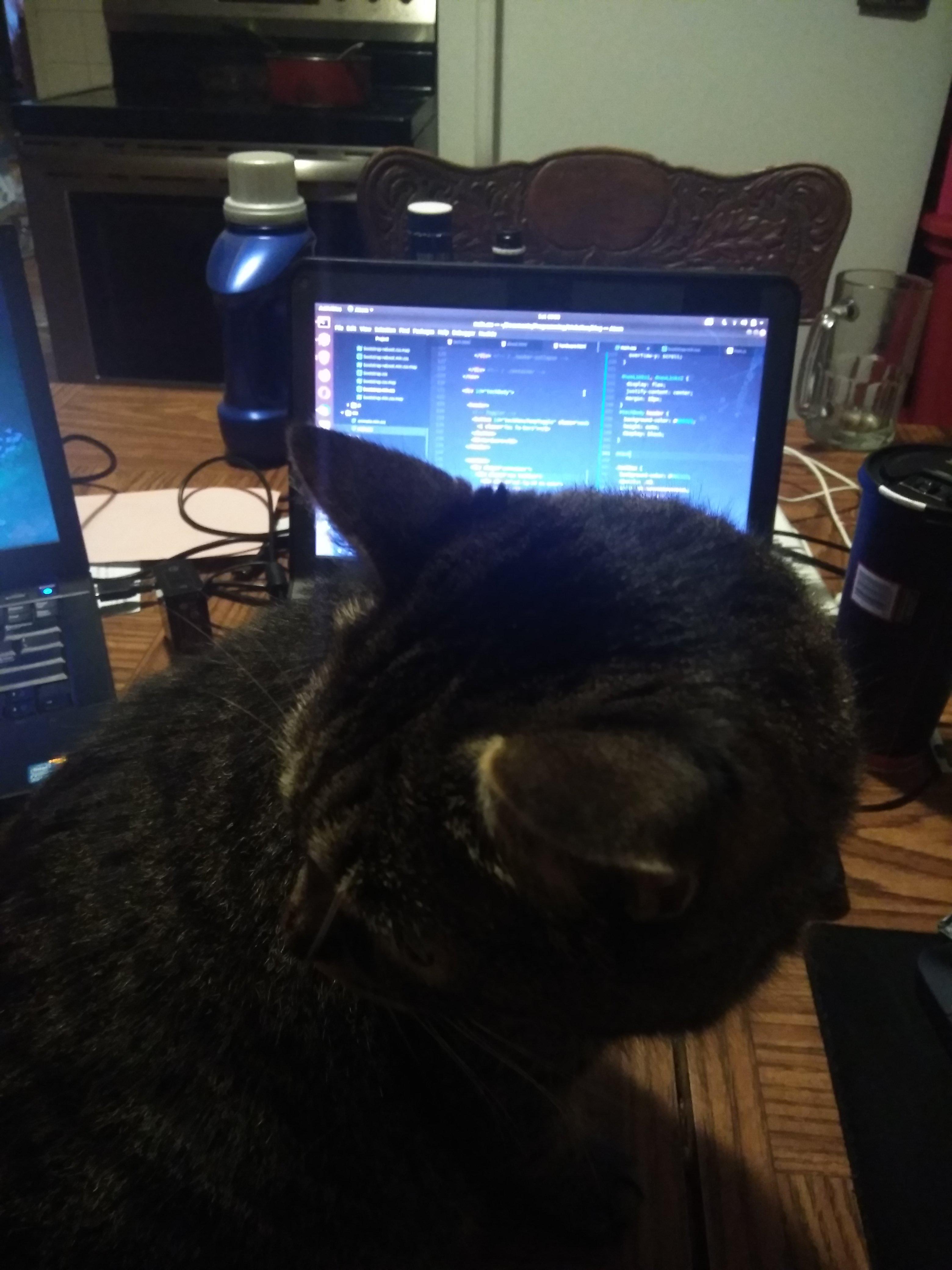 I...she just...maybe I should be sleep. | Scrolller