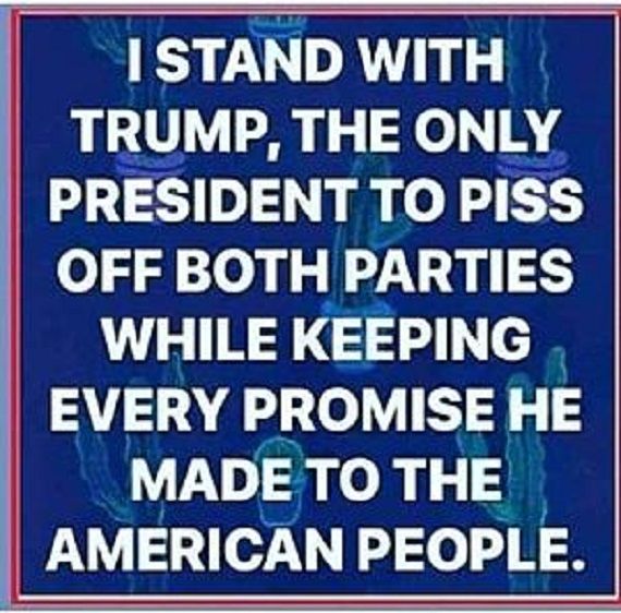 I stand with Trump... | Scrolller