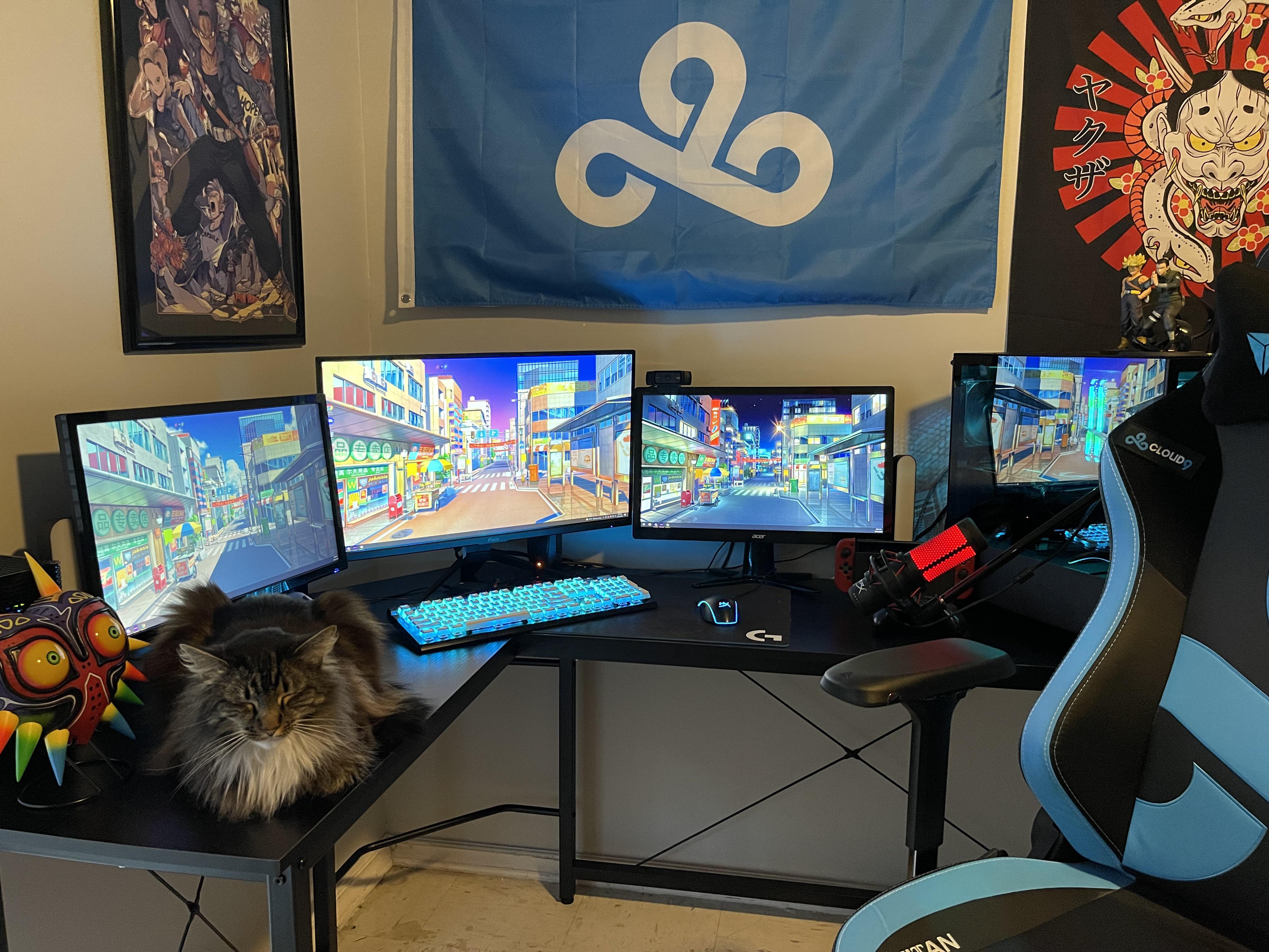I think he approves of the new desk. | Scrolller