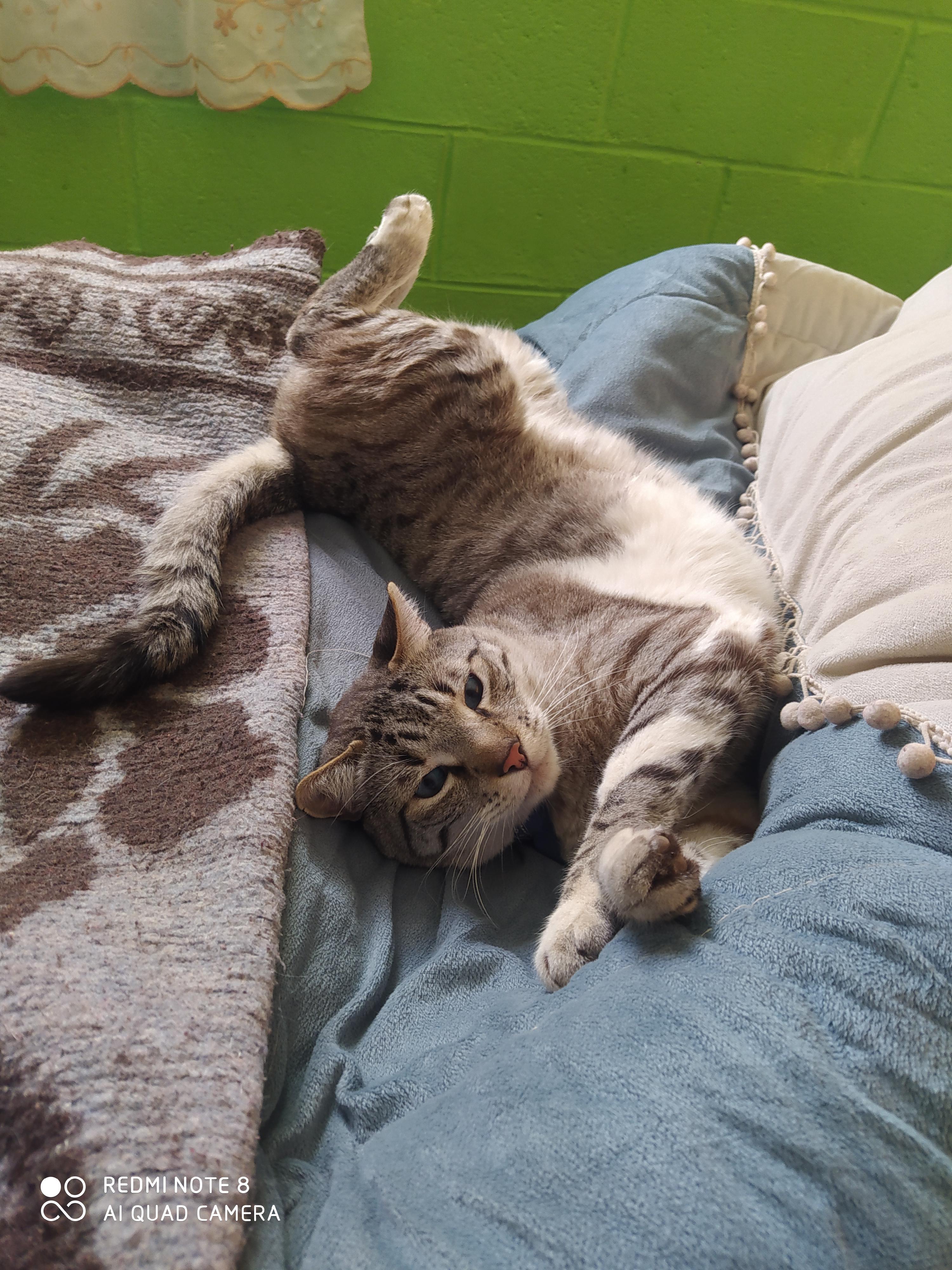 I think he dreamed he was a contortionist | Scrolller