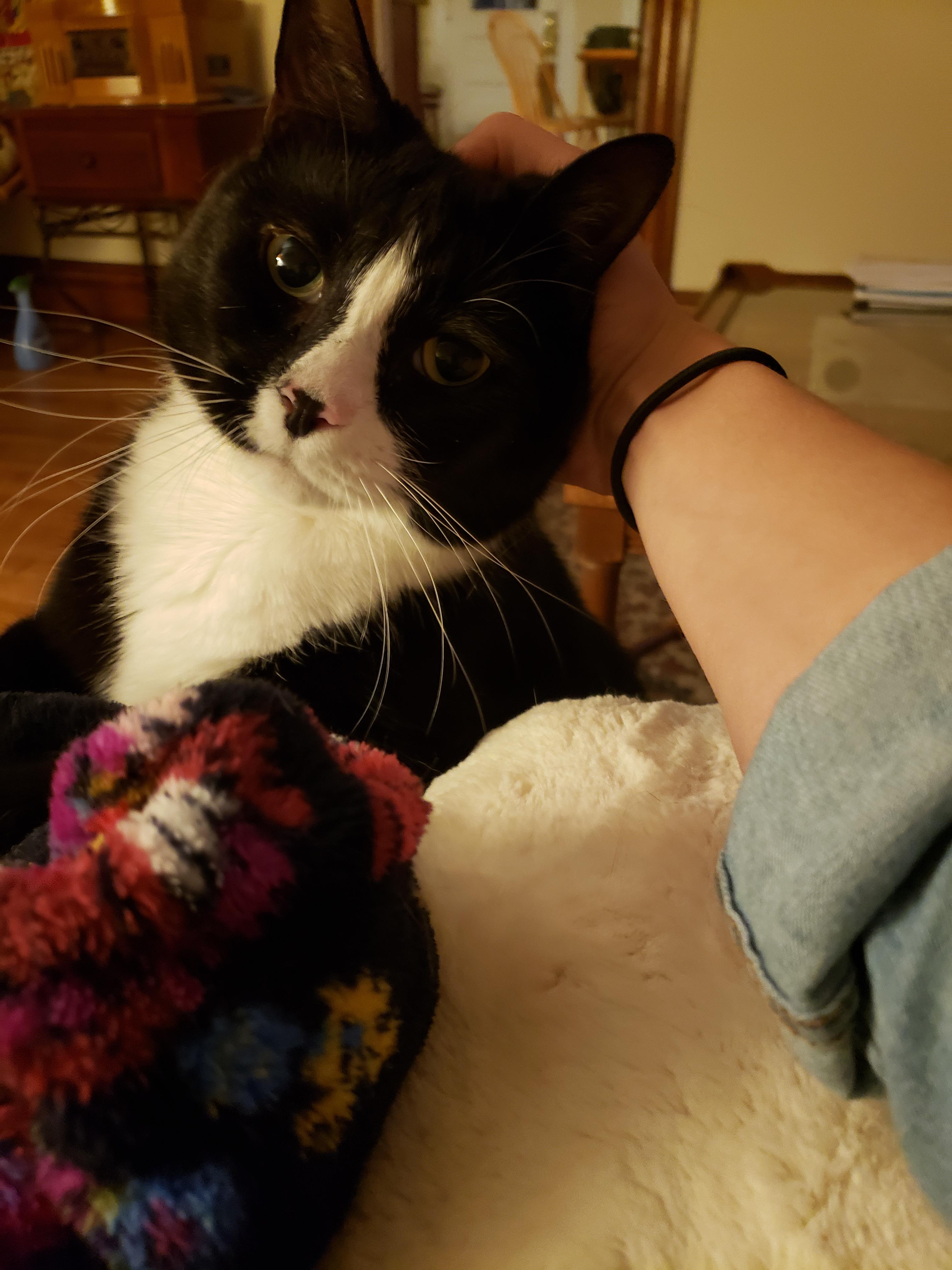 I think he sorta likes me, sometimes | Scrolller