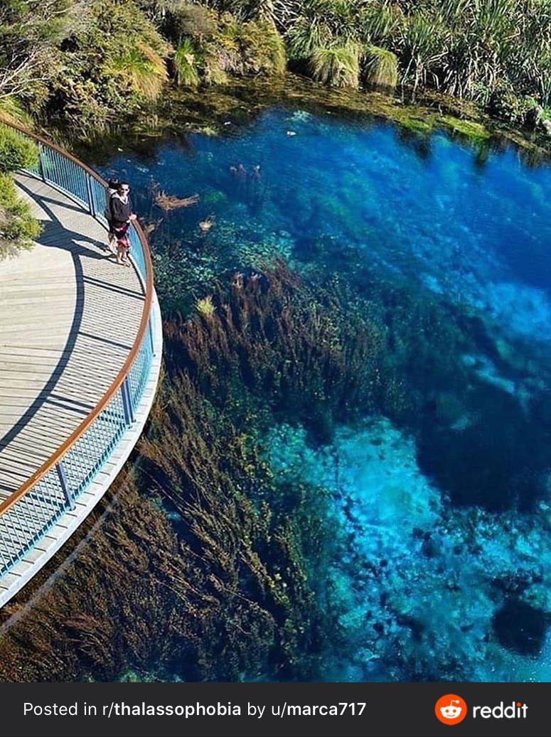 I think I’d love to take a dive | Scrolller