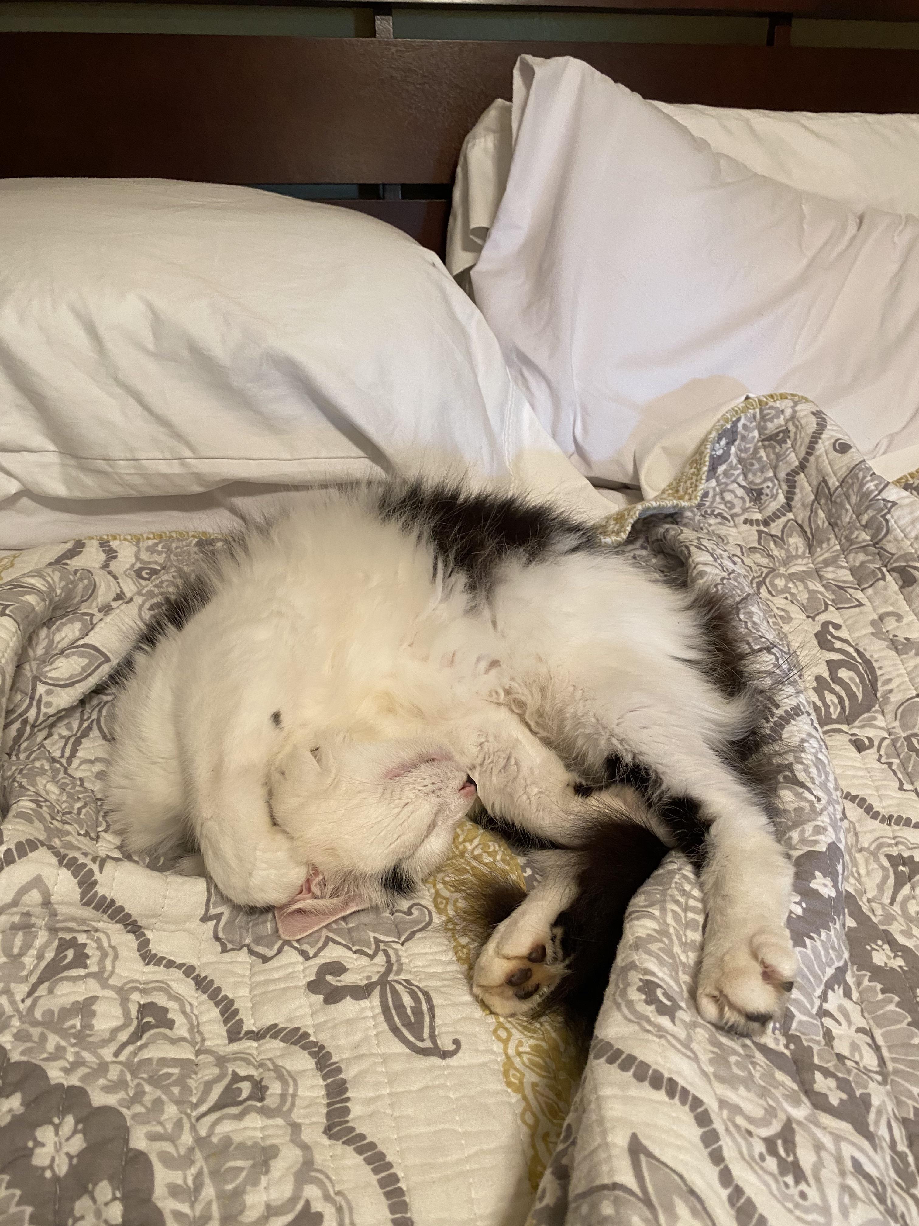 I think she’s broken. | Scrolller