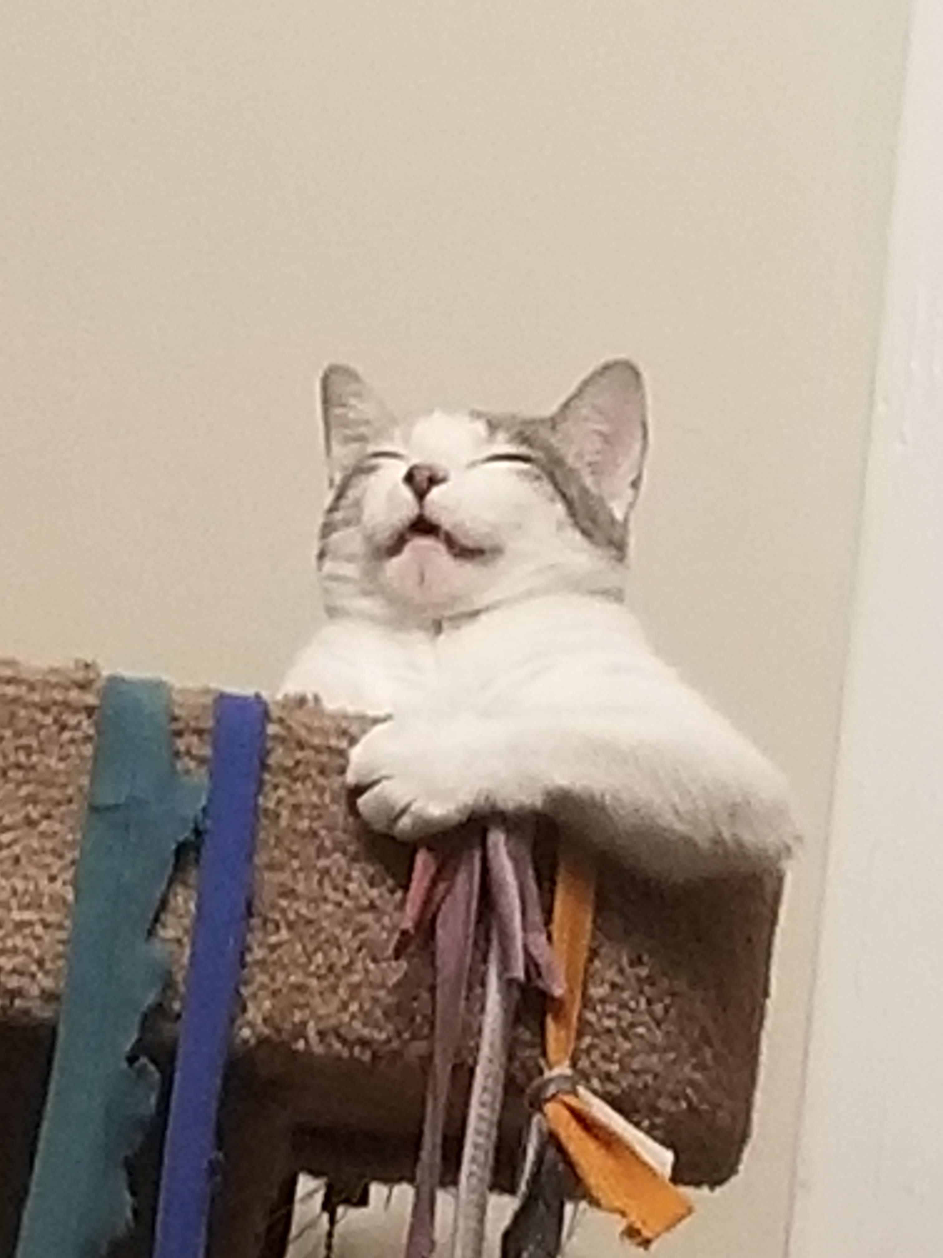 I think she's broken... | Scrolller