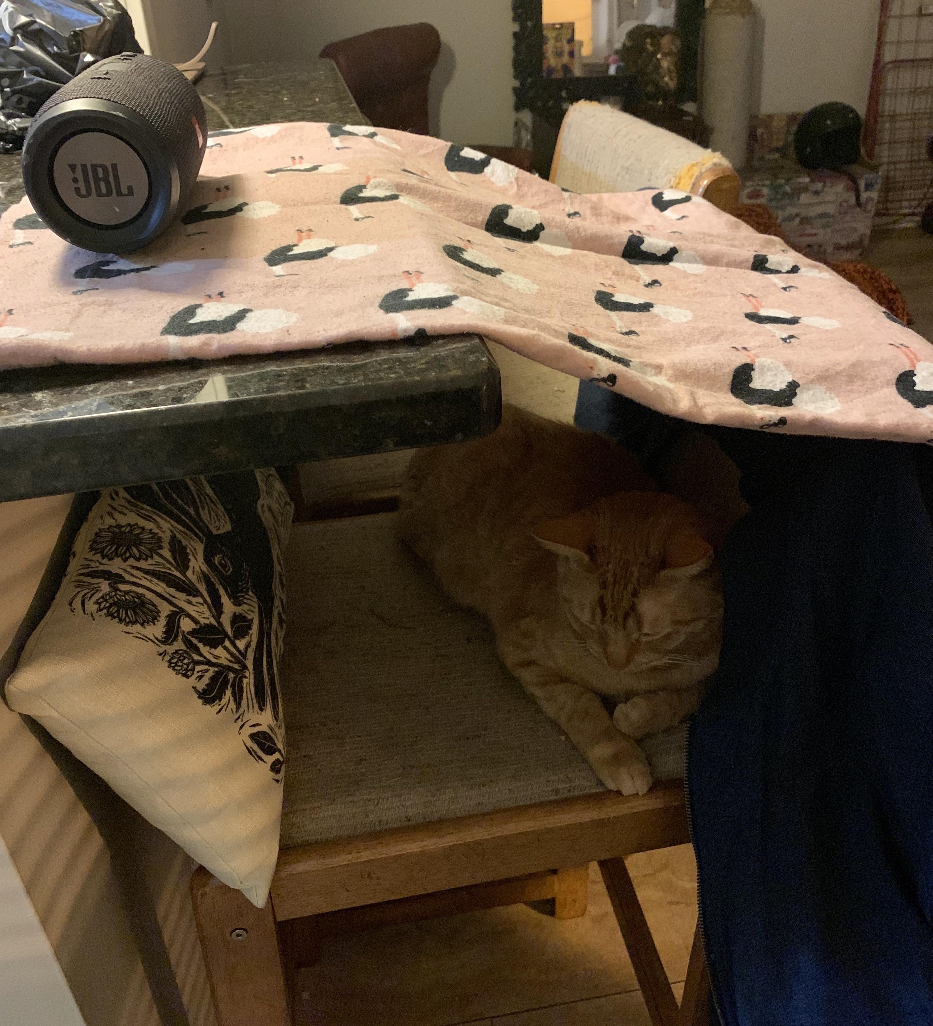 I think this fits here | Scrolller