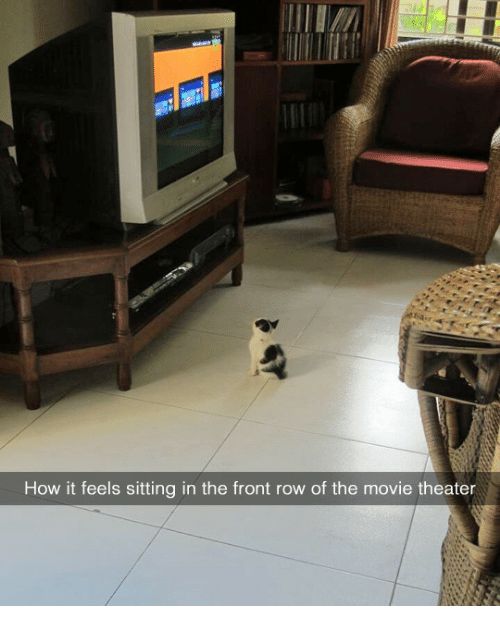 I think we can all agree, no one sits in the front row of a movie theater and enjoys it. | Scrolller