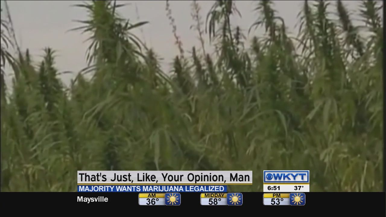 I thought you guys might like our local news station's take on the marijuana legalization survey ...
