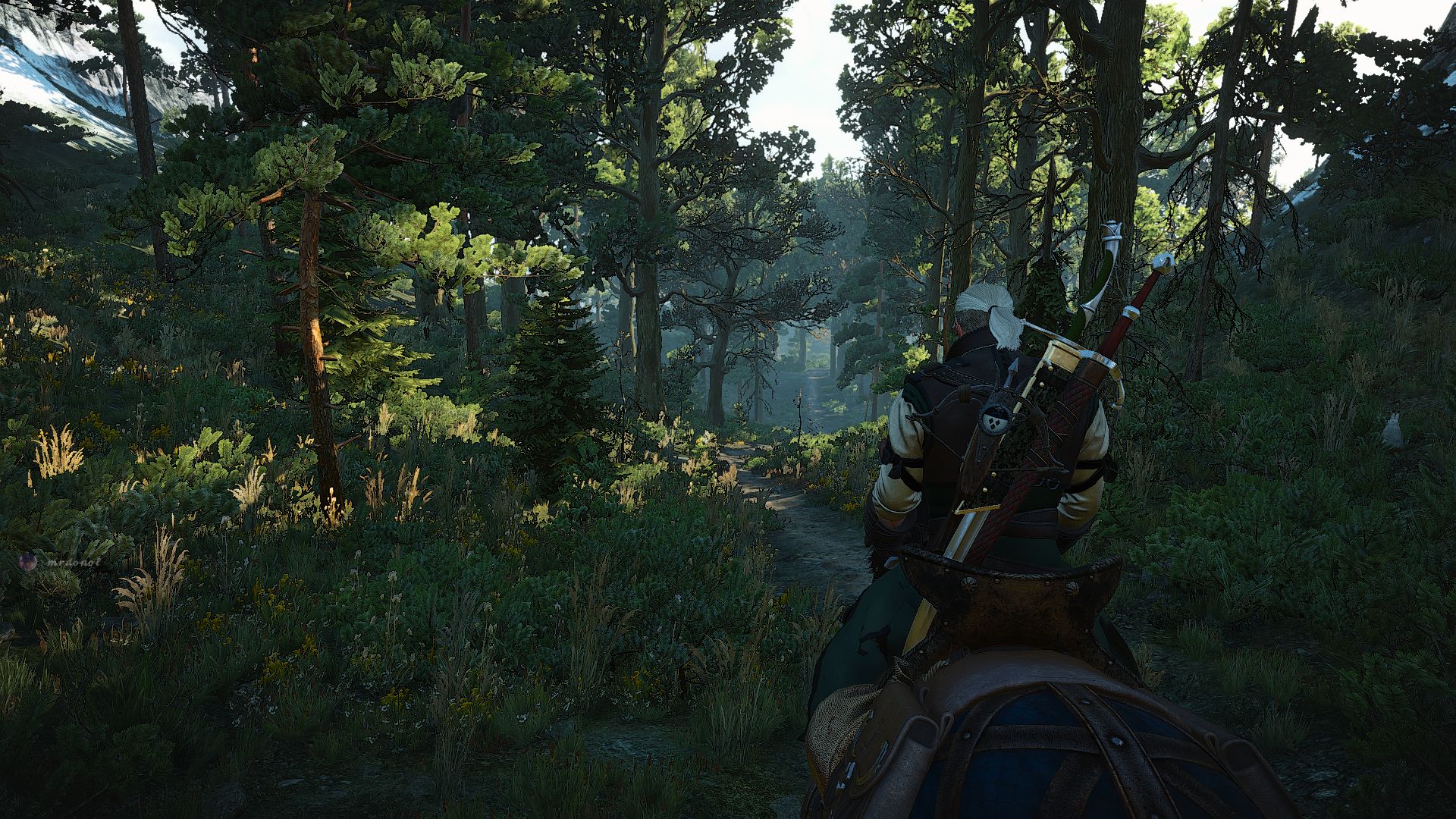 I want to walk this forest IRL | Scrolller