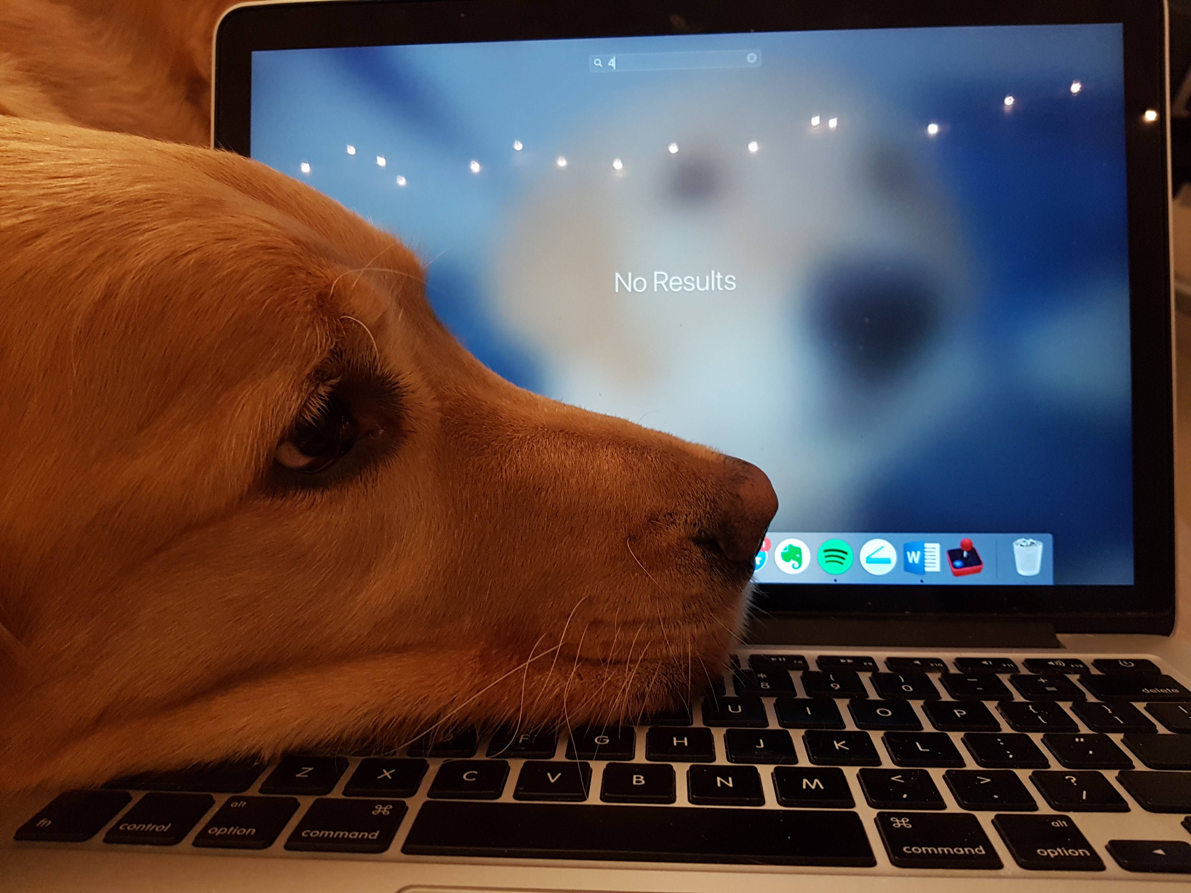 I was trying to get some work done when this guy decided to "help" me and started pressing ...