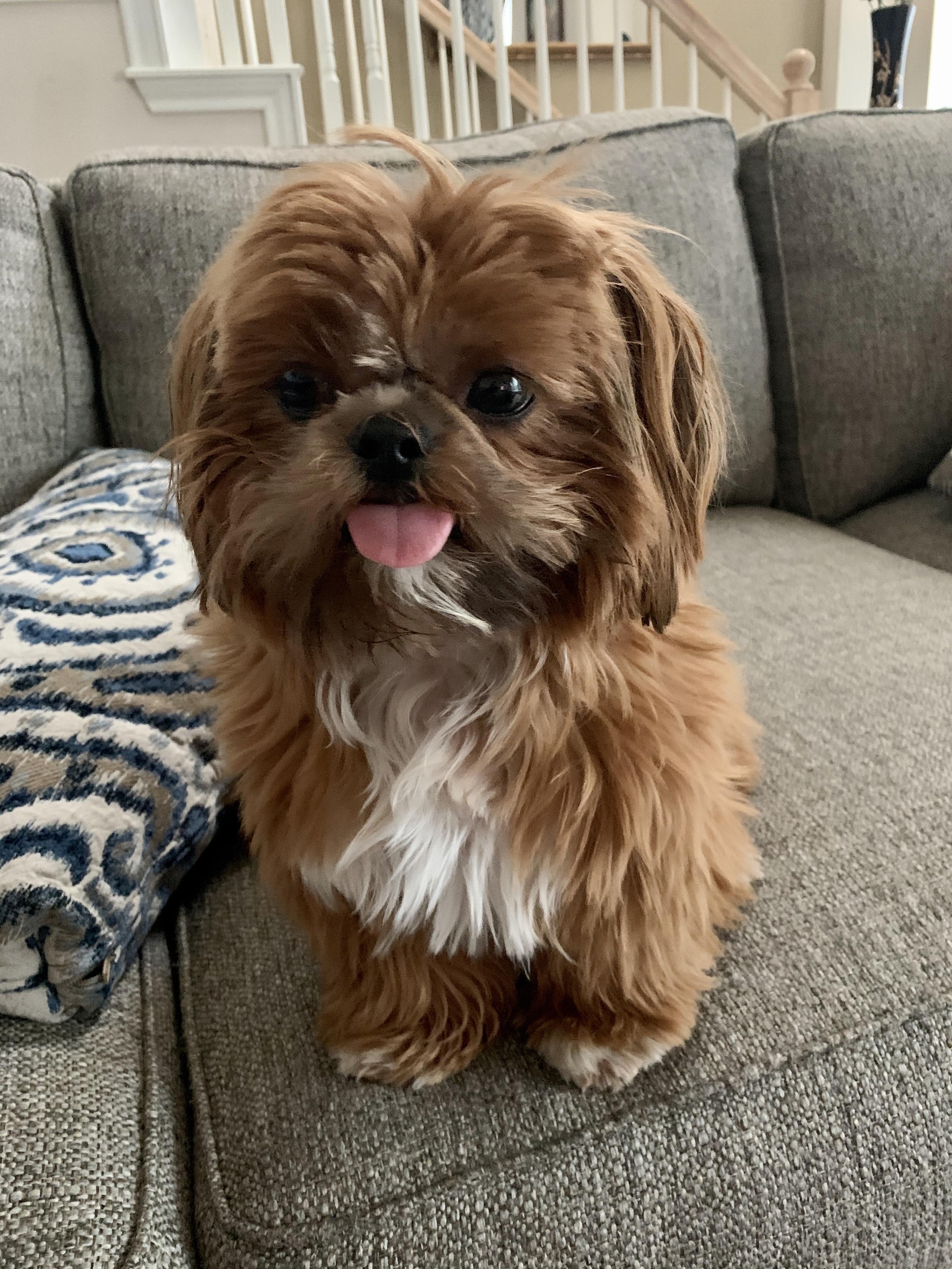 I woke him up from his nap | Scrolller