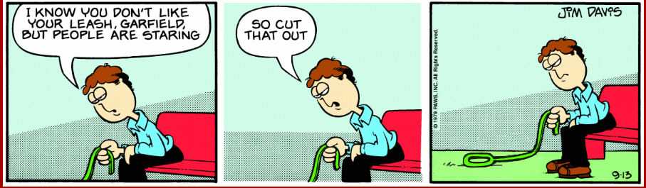 I wonder why people are staring.. | Scrolller