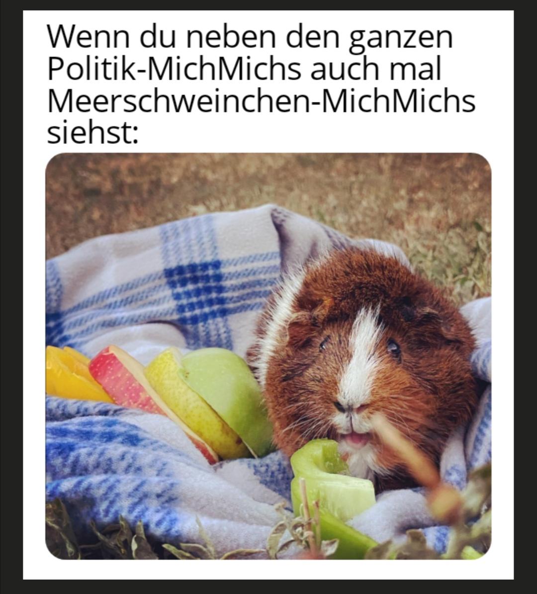 Ich_iel | Scrolller