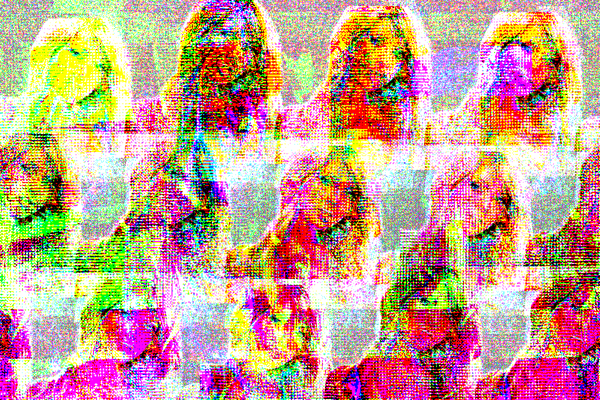 Identity Crisis | Scrolller