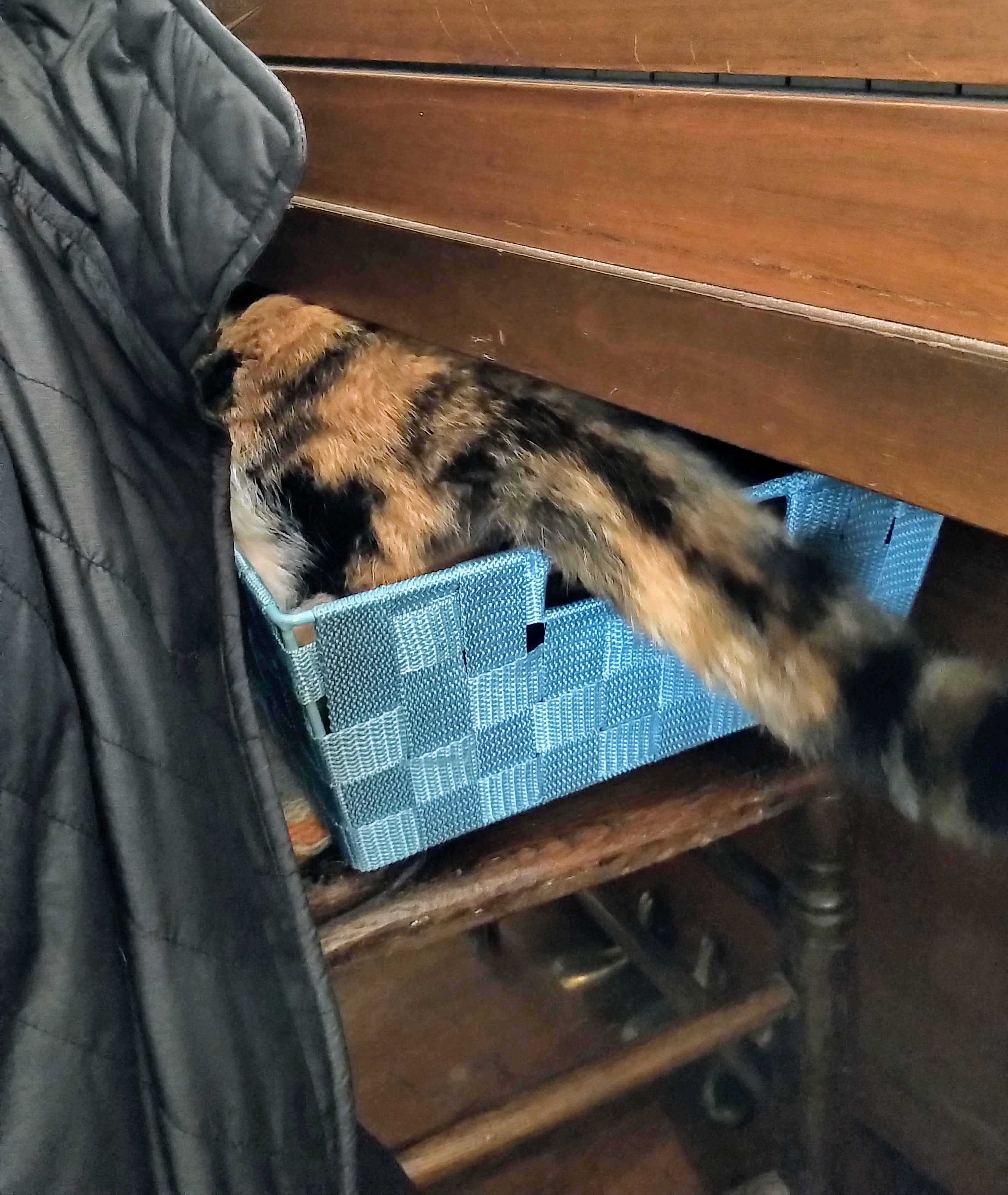 If I fits I sits, dammit! | Scrolller