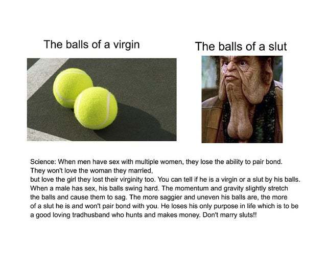 If they can, so do we! | Scrolller