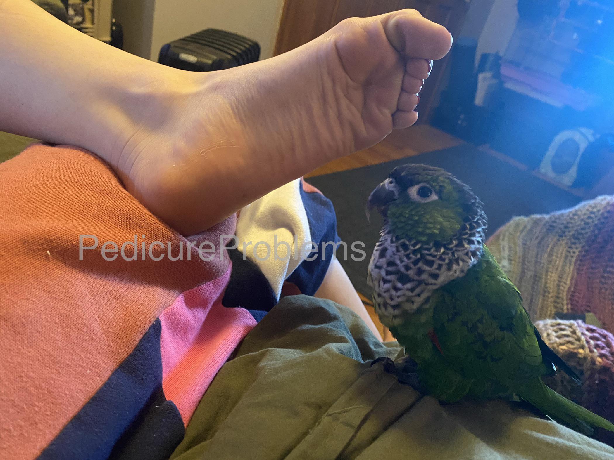 iiif you wanna get with my feet, you gotta get with my bird | Scrolller