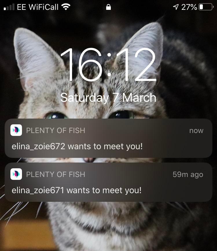 Illusion 100 | Scrolller