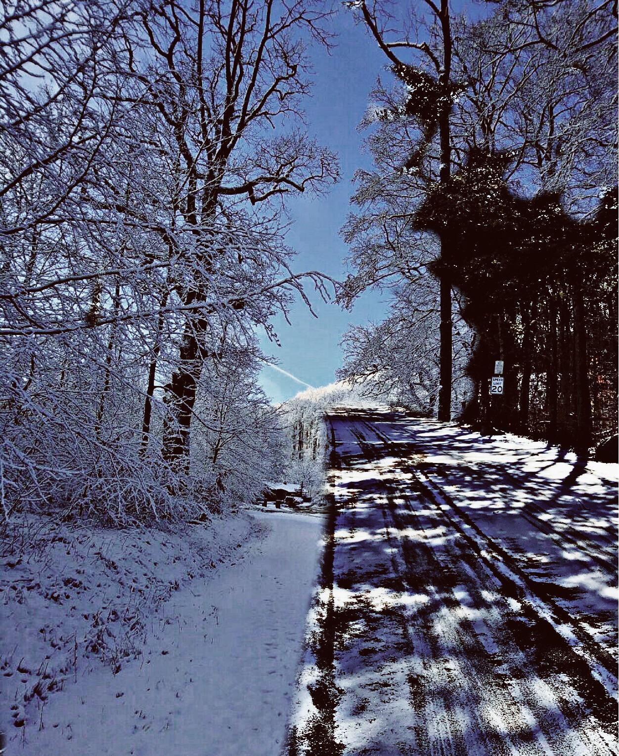 Illusion | Scrolller